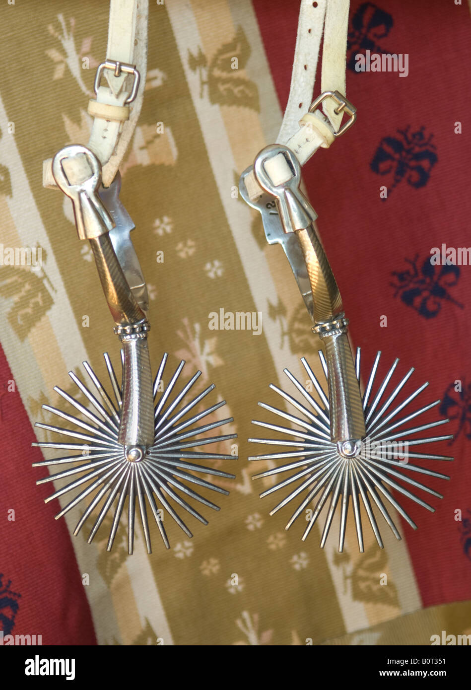 Spurs and chamanto Chile Stock Photo - Alamy