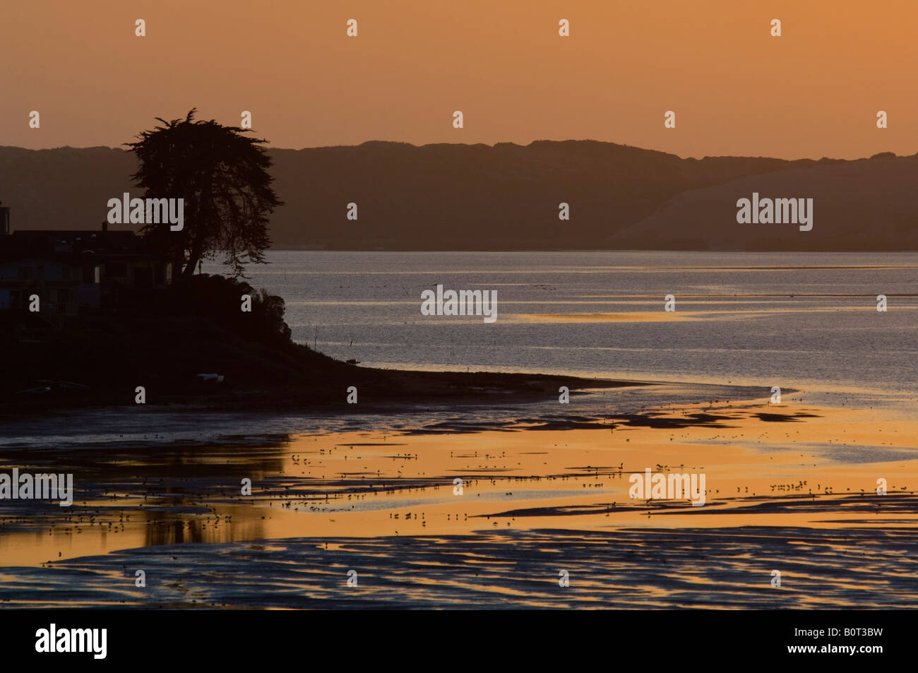 Tidal mud flats at sunset near Baywood Park Morro Bay California Stock ...