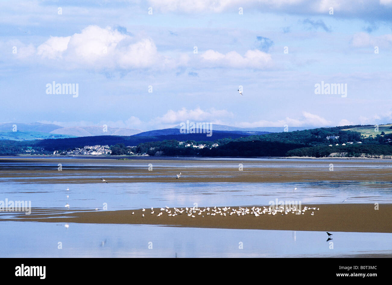 Morecambe bay landscape hi-res stock photography and images - Alamy