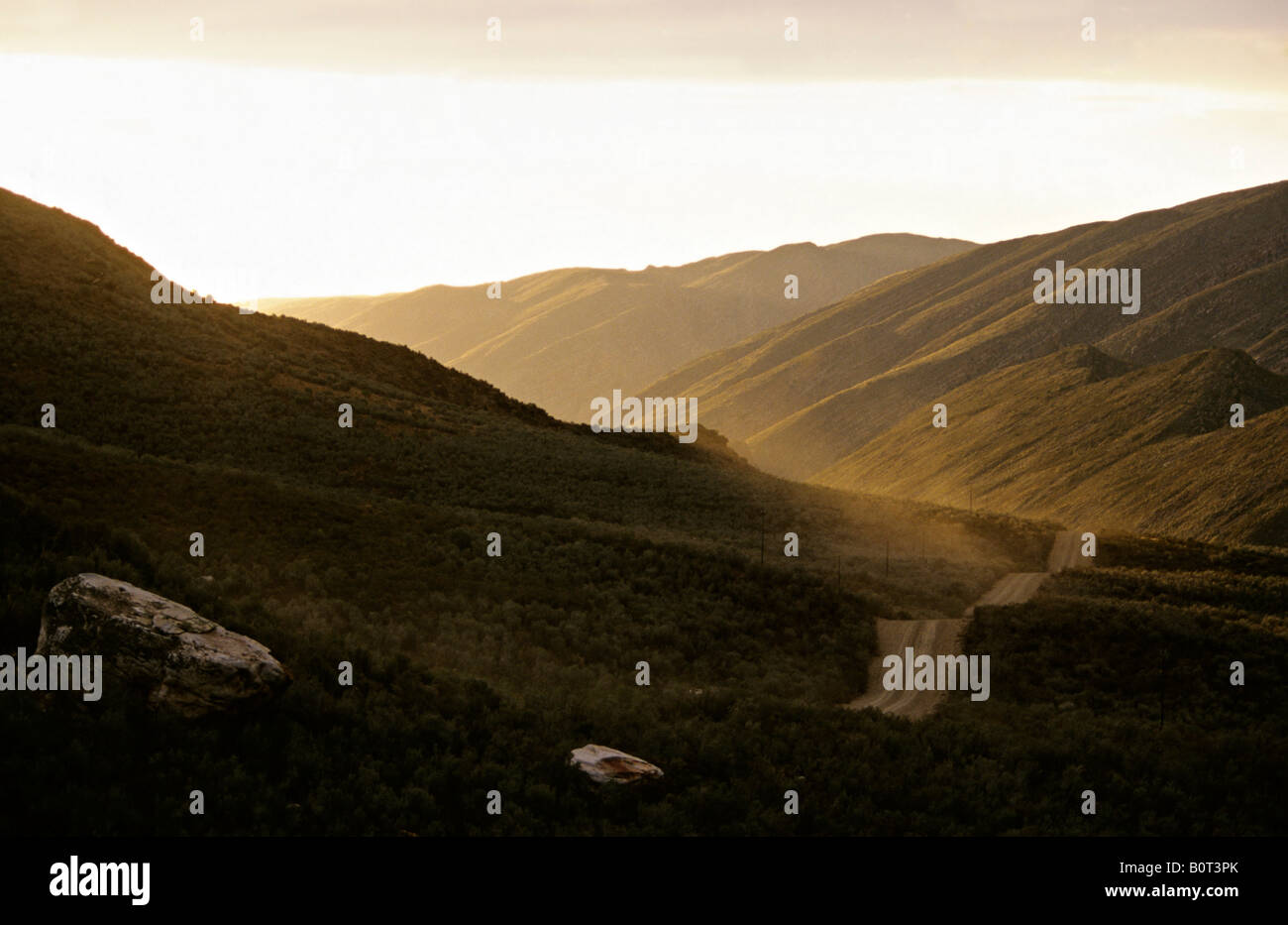 Little Karoo Vegetation High Resolution Stock Photography and Images ...