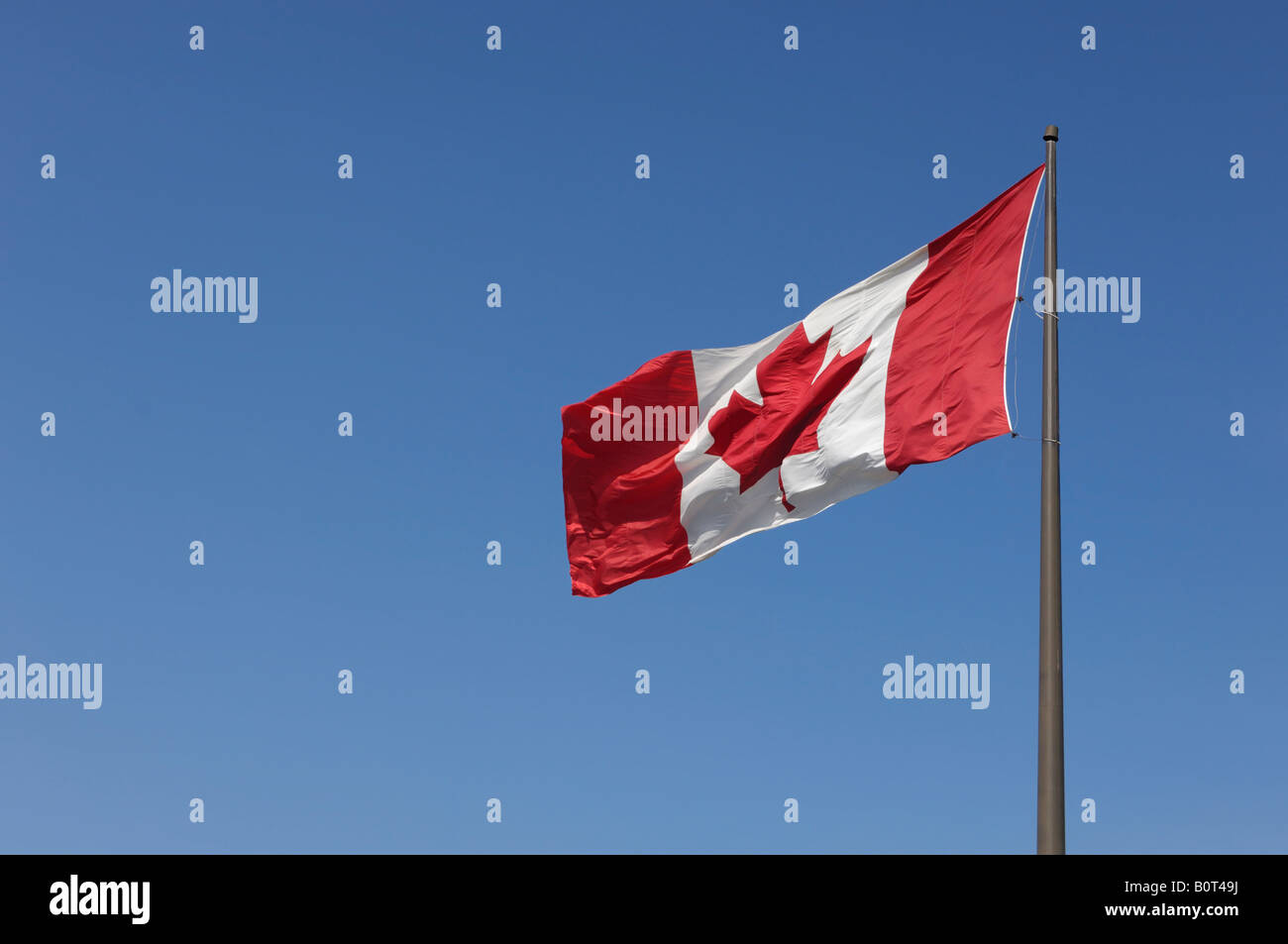 Flapping canadian flag hi-res stock photography and images - Alamy