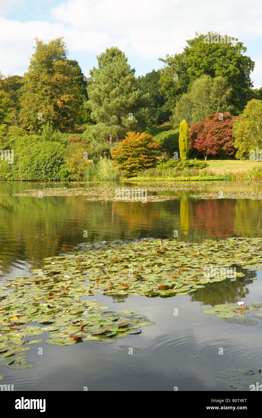 sheffield park gardens Stock Photo - Alamy
