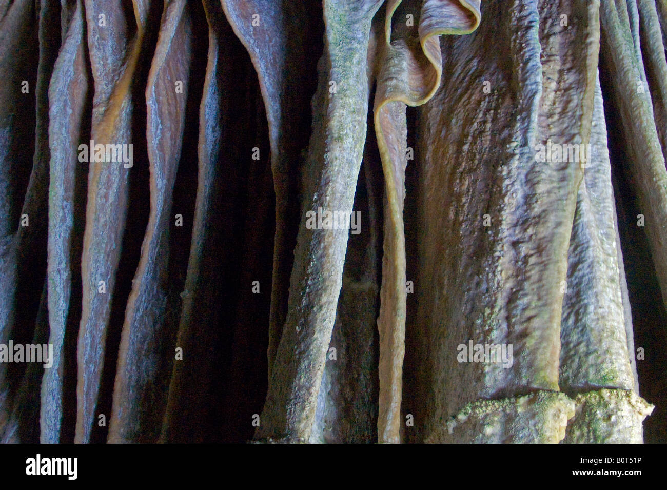 Soda straw stalactite hi-res stock photography and images - Alamy