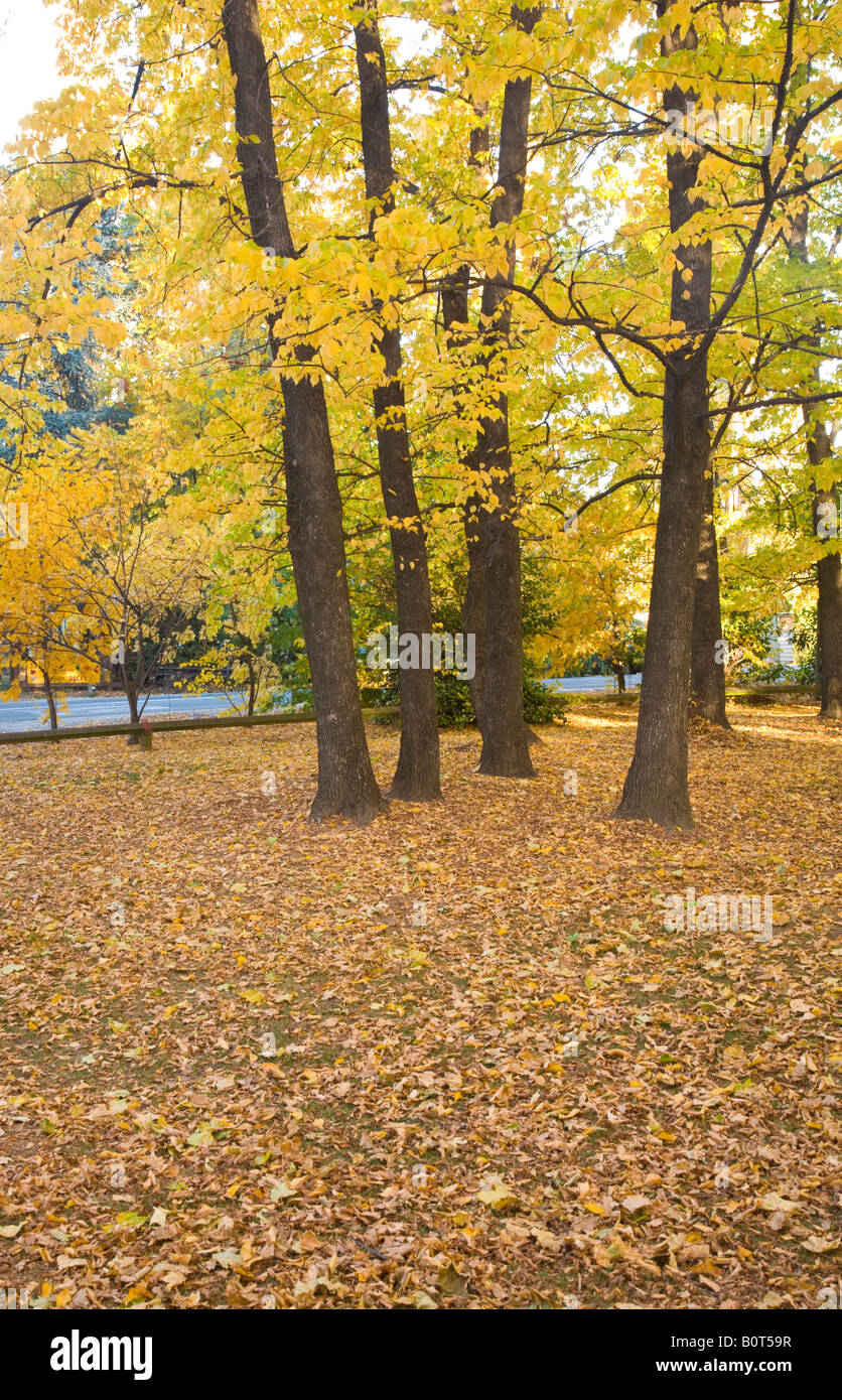 A colorful fall scene Stock Photo - Alamy