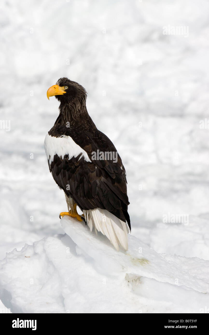 Nemuro strait hi-res stock photography and images - Alamy