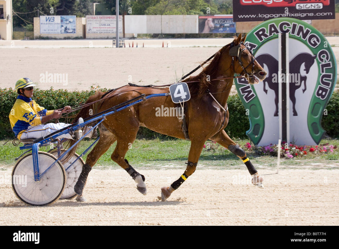 Cinder and sand racing at Marsa racetrack, Trotters, Horse-racing, Trot ...