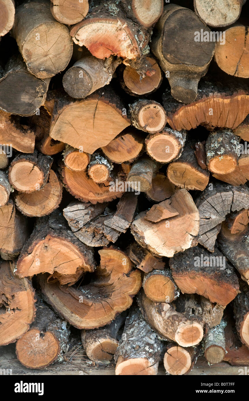 Pile of Logs Stock Photo - Alamy