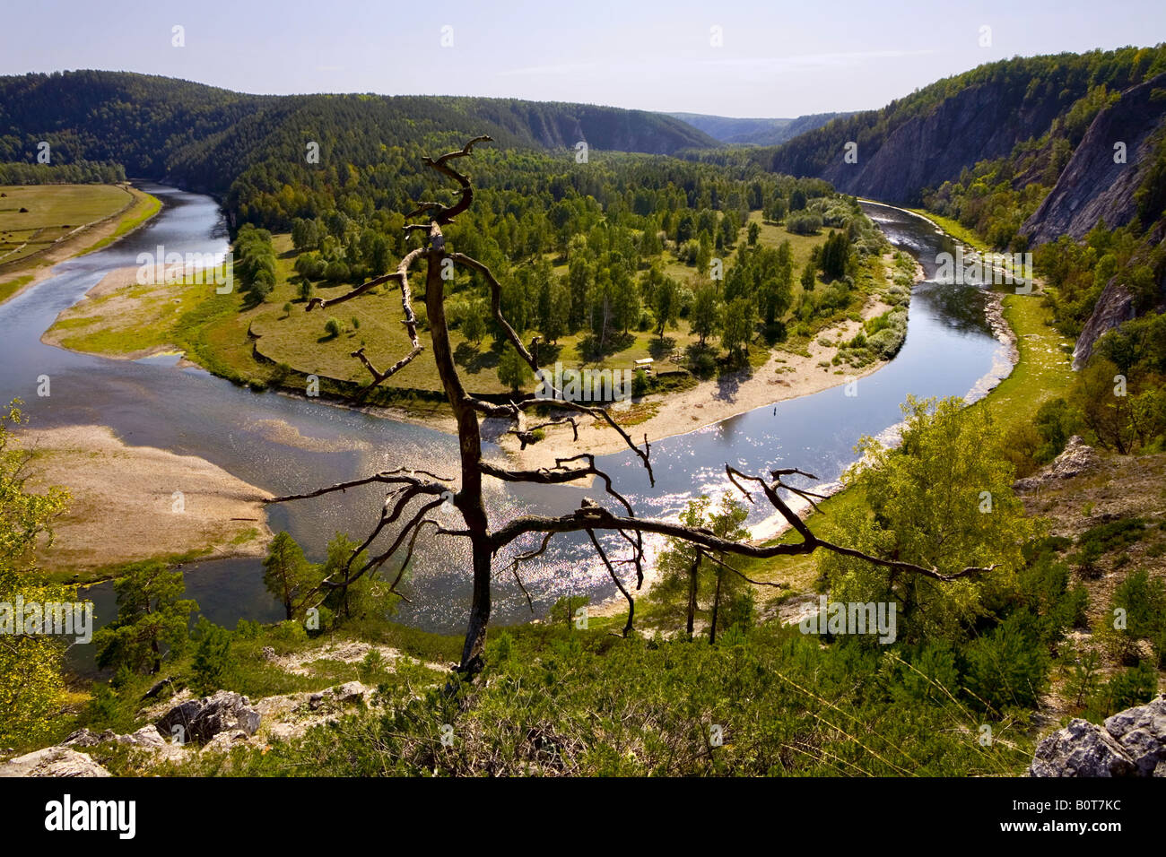 Dead Tree Over River Bend Stock Photo - Alamy