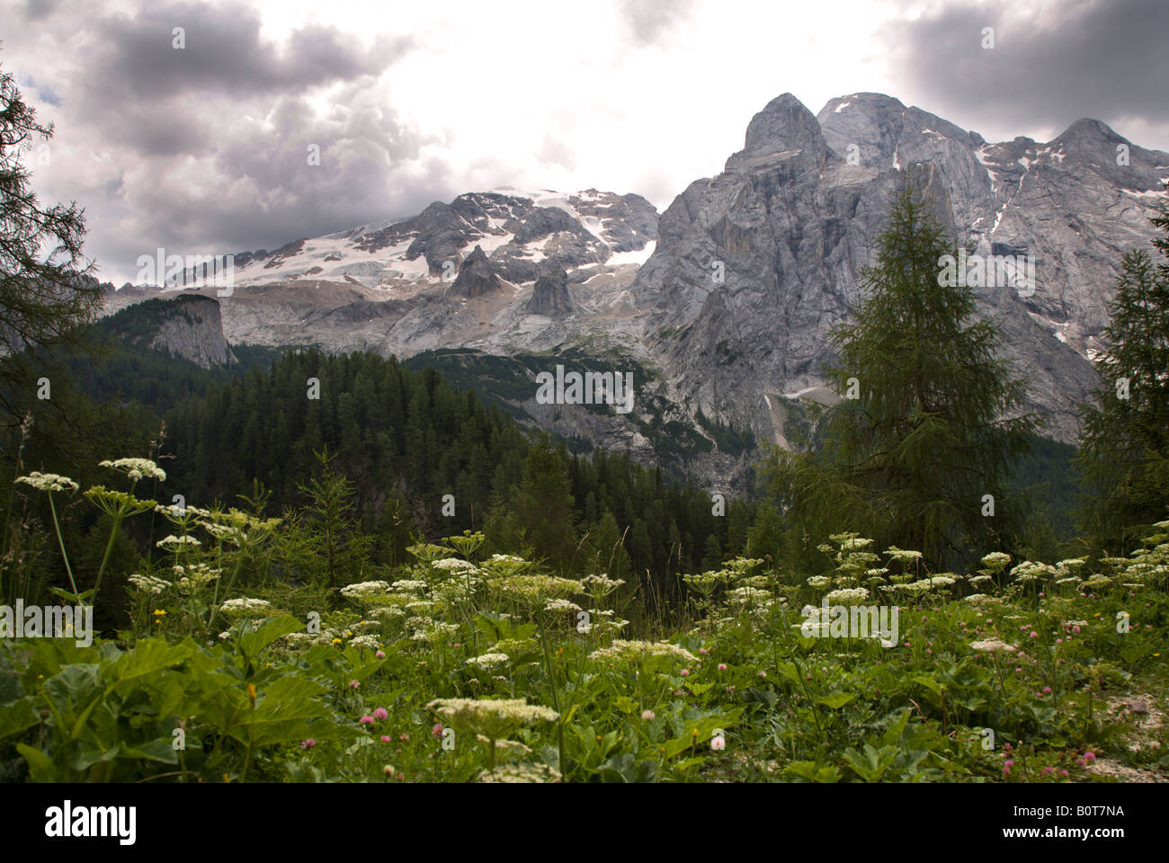 Marmolada Massif from Fedaia Pass, Canazei, Dolomites, Italy Stock ...
