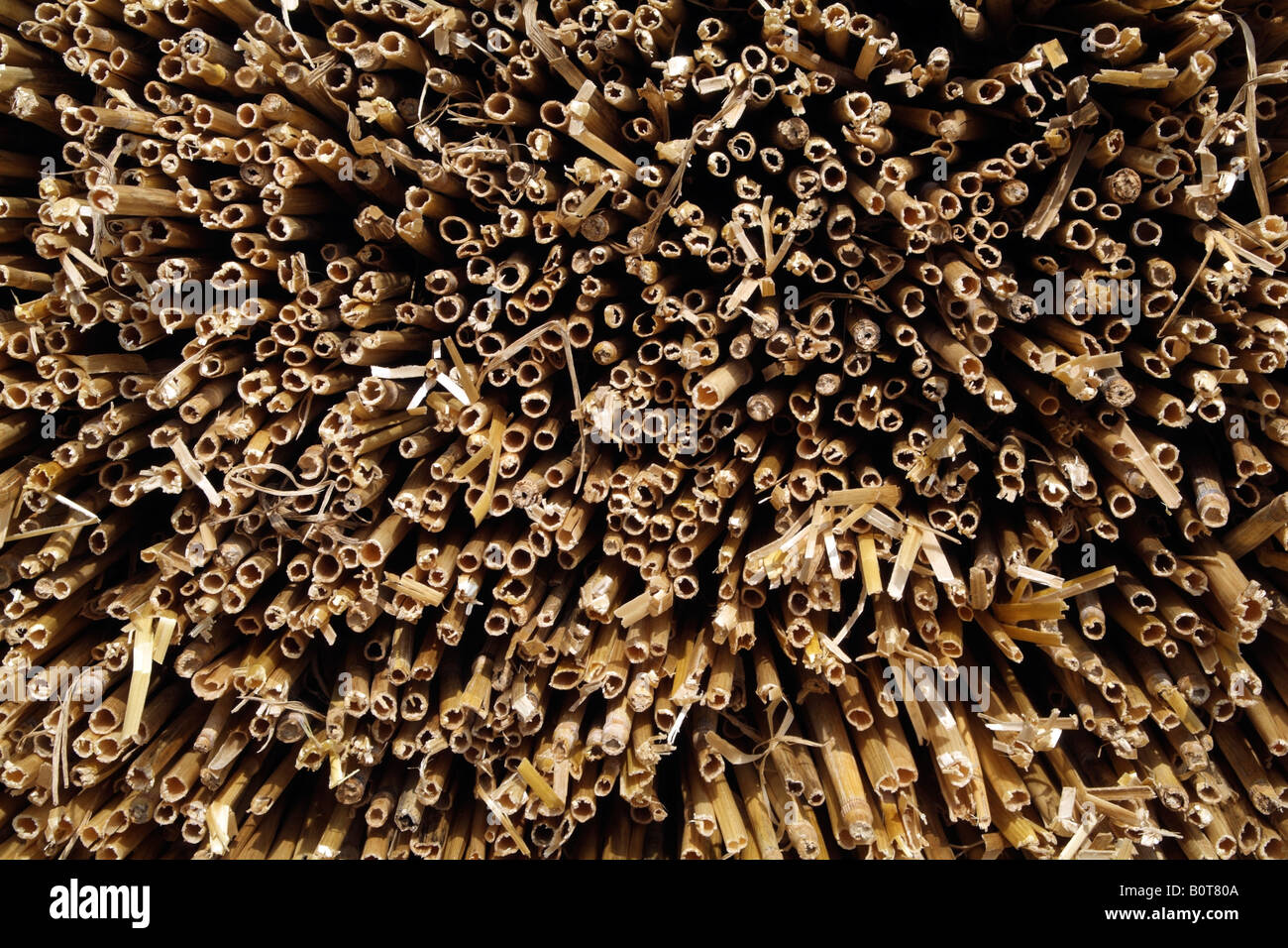 English thaching straw in a bale Stock Photo - Alamy