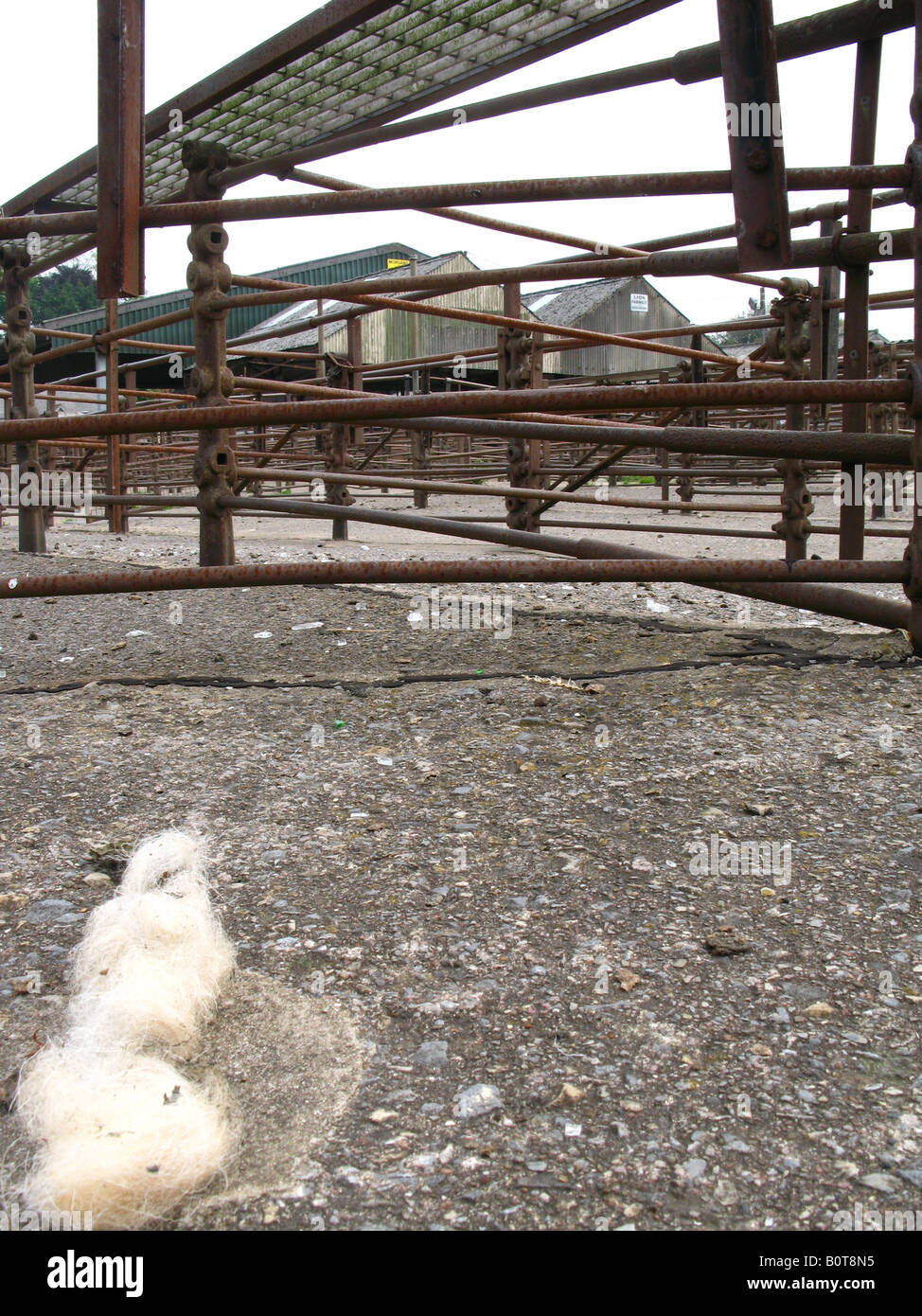 Empty livestock stalls at Abergavenny Farmers Market Stock Photo - Alamy