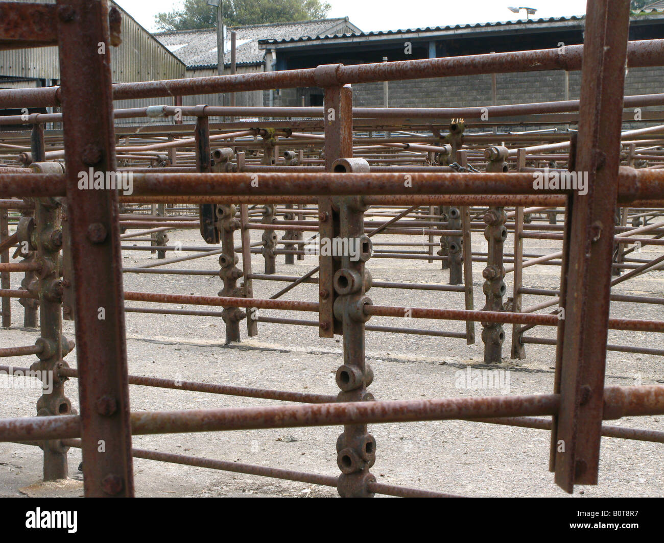 Empty livestock stalls at Abergavenny Farmers Market Stock Photo - Alamy