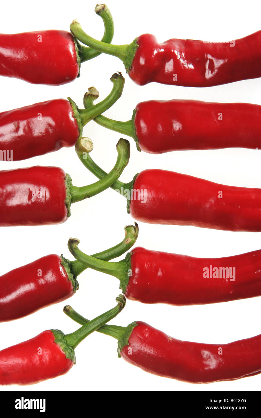 Red chili pepper pattern on white background Stock Photo - Alamy
