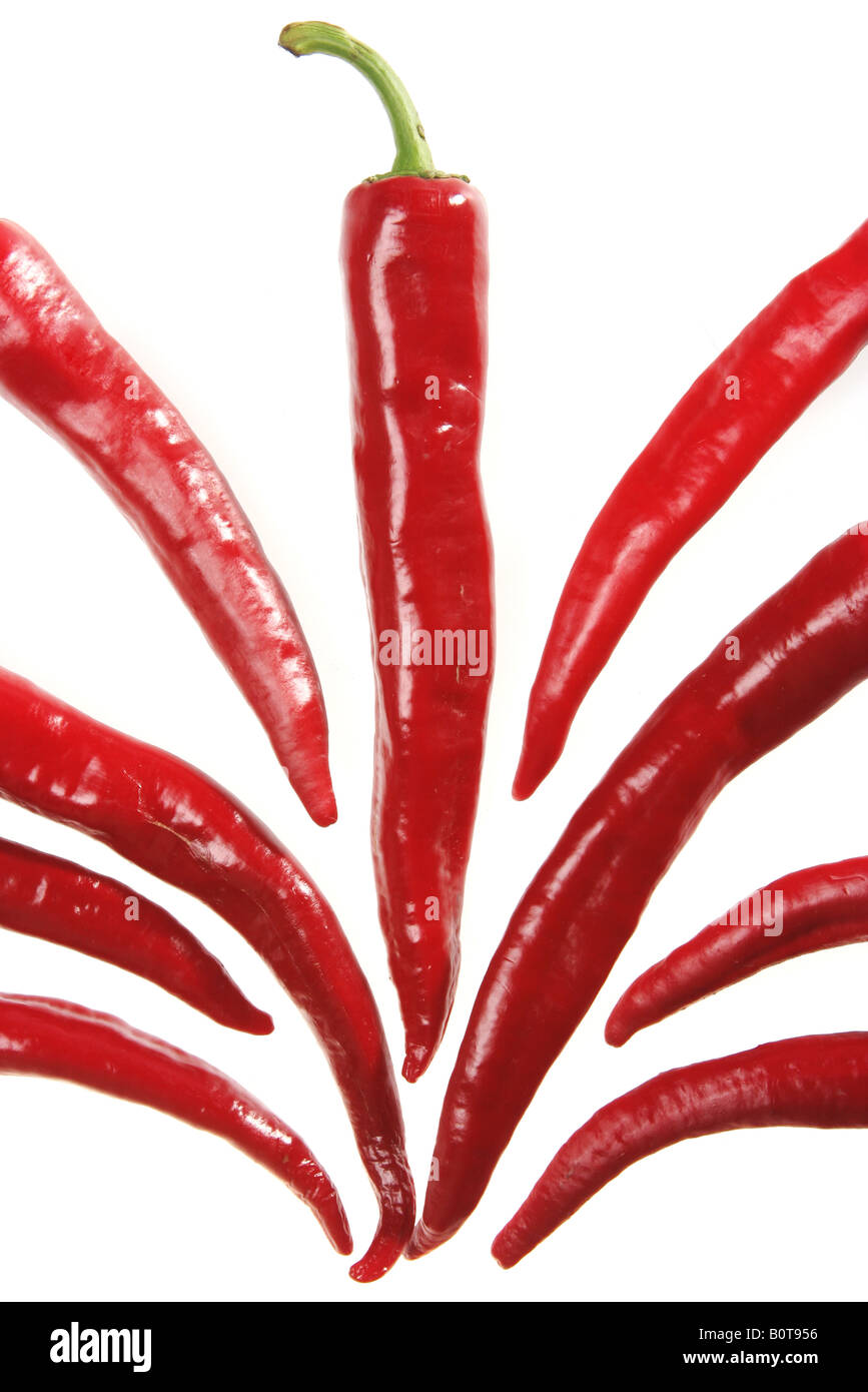 Red chili pepper pattern on white background Stock Photo - Alamy