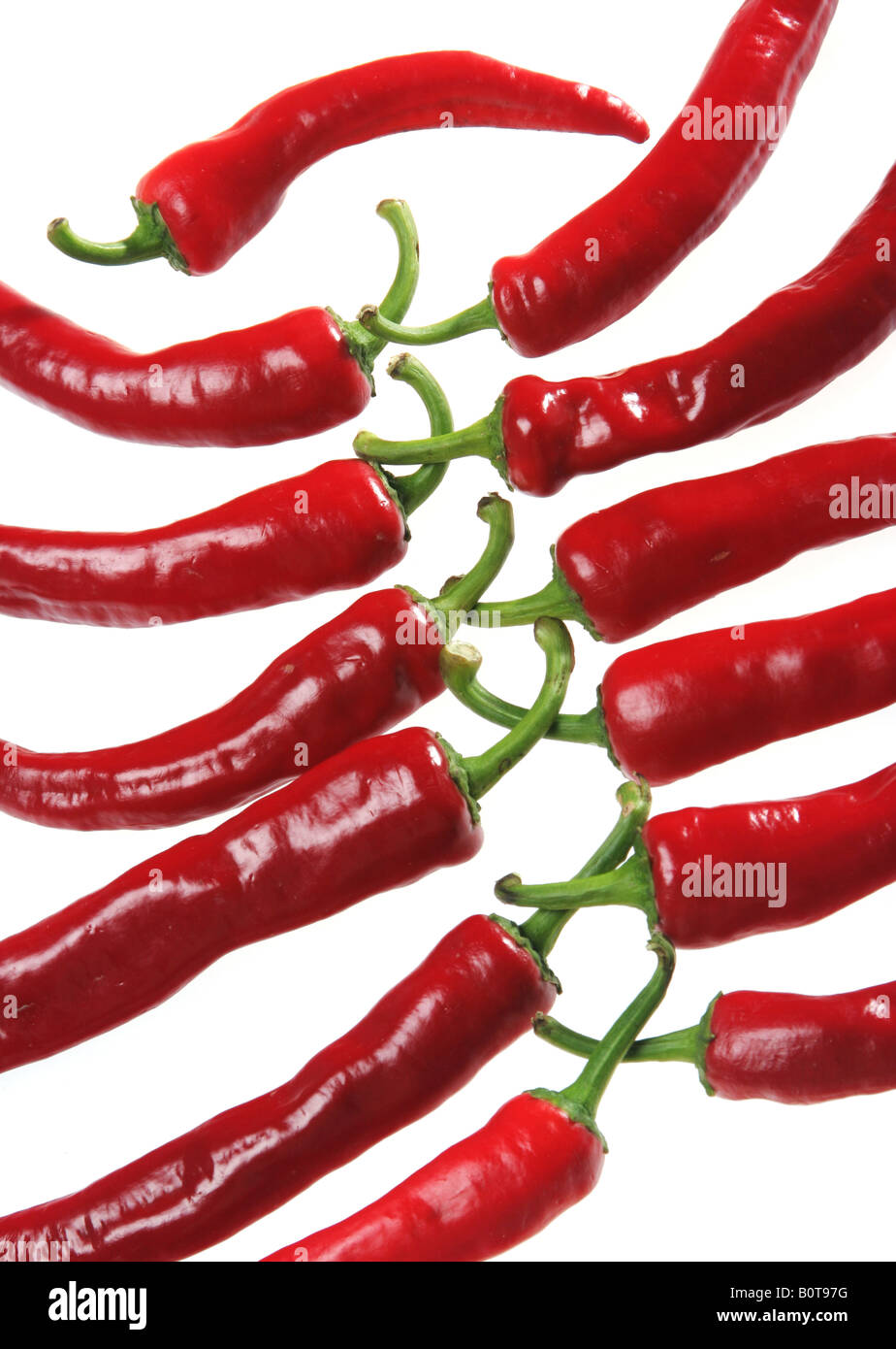 Red chili pepper pattern on white background Stock Photo - Alamy
