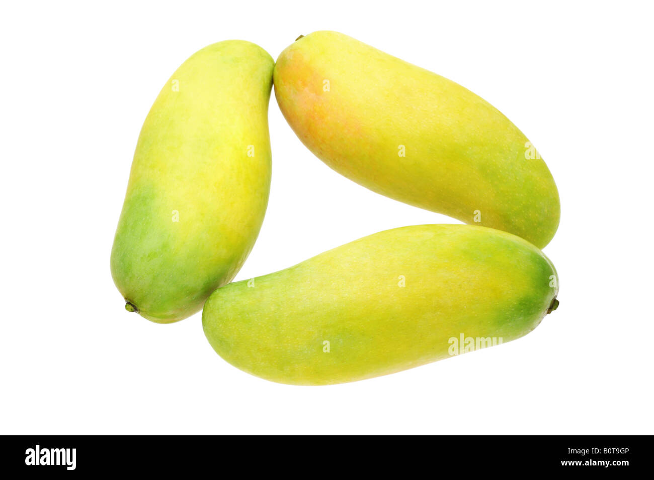 Three mangoes arranged in triangle on white background Stock Photo - Alamy
