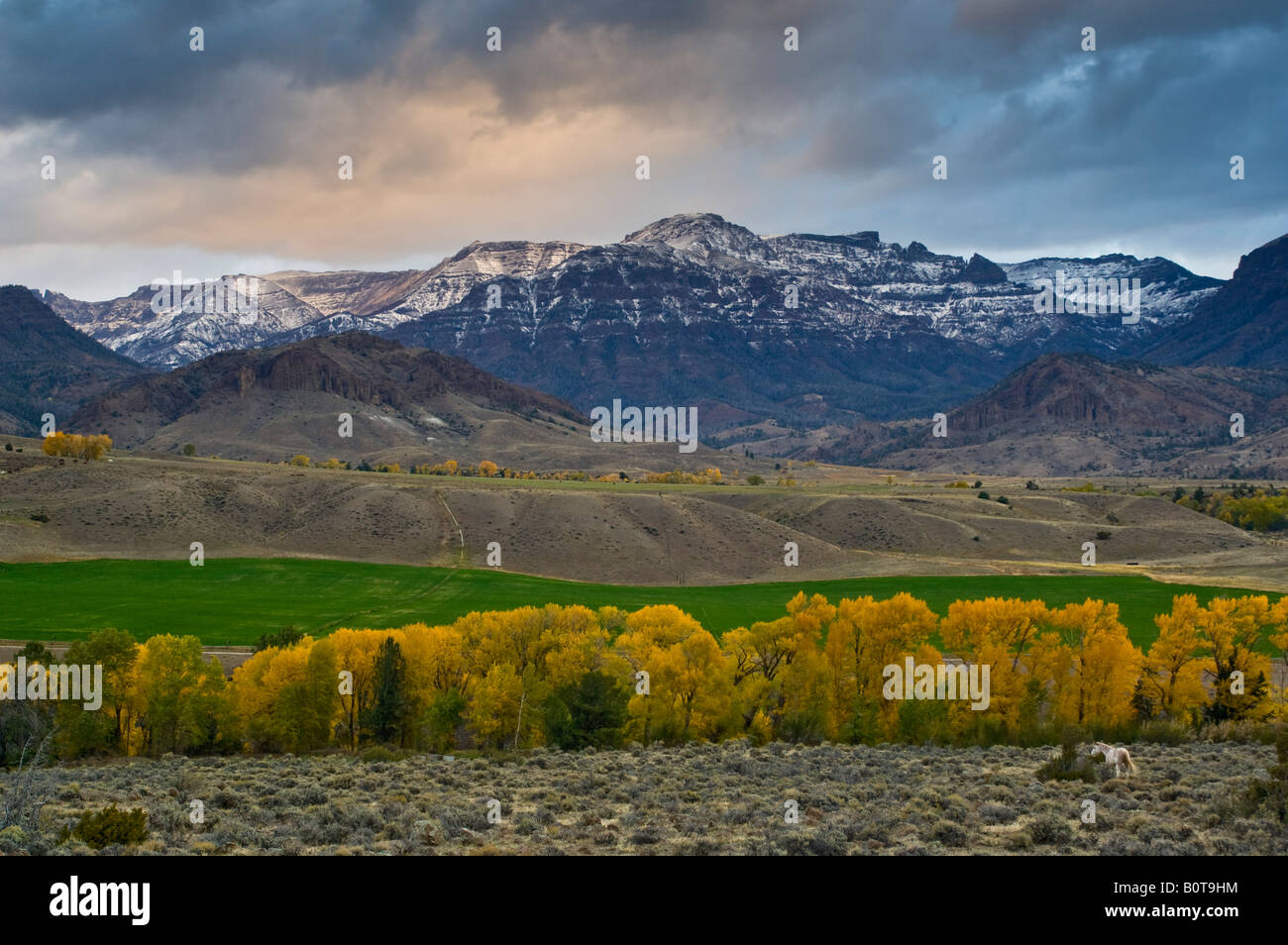 Evening storm clouds over Jim Mountain and farm pasture fields in fall ...
