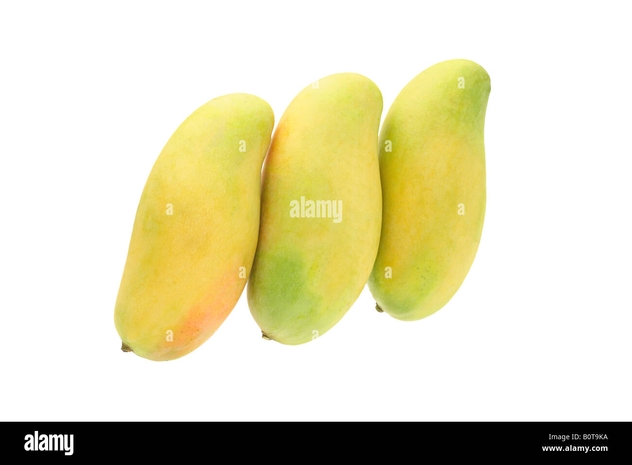 Three fresh mangoes standing on white background Stock Photo - Alamy