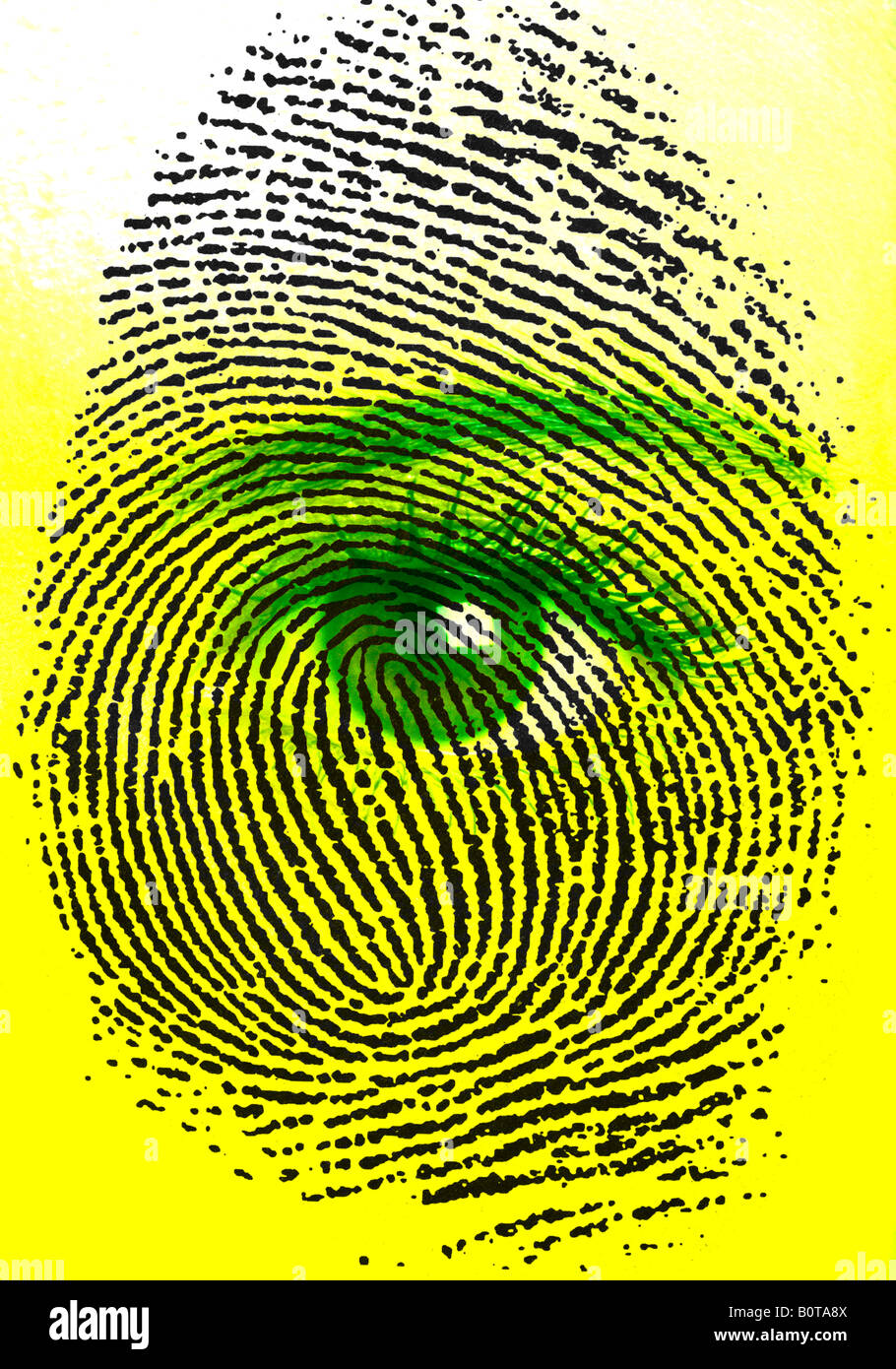 closeup view of human eye composited on finger print Stock Photo - Alamy