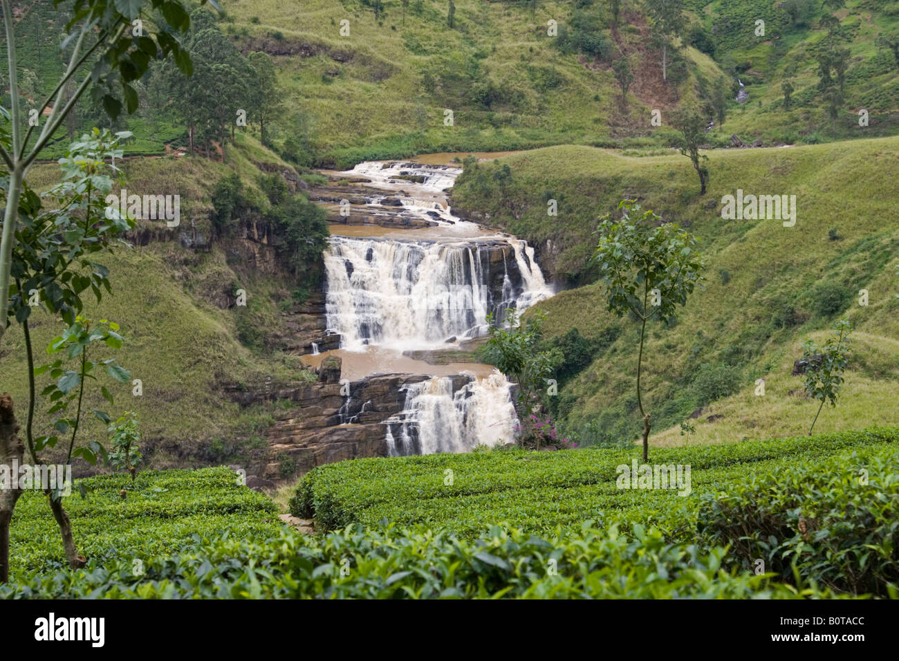 St Clair waterfall and tea estate near Talawakele viewed from the road ...
