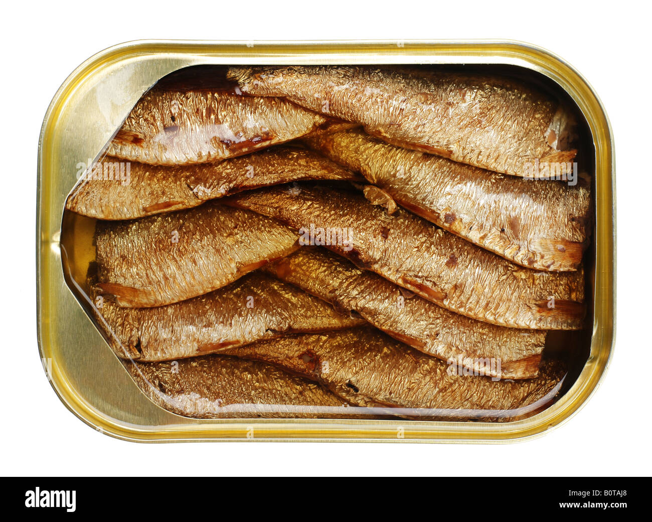 Sprat fish canned isoletad on white background Stock Photo - Alamy