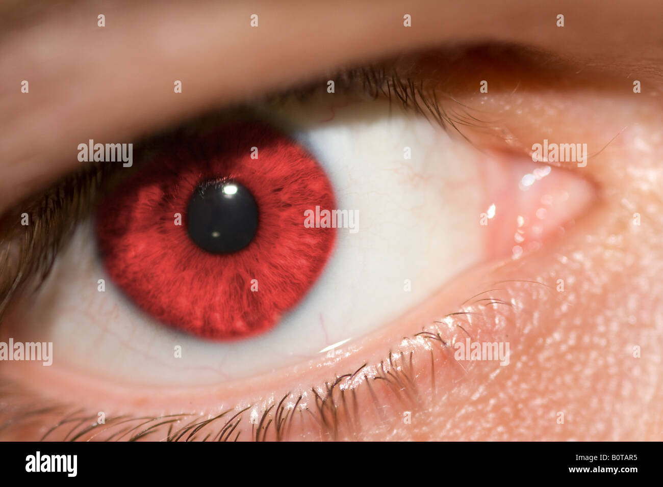 Red eye flash hi-res stock photography and images - Alamy