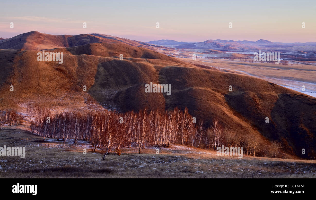 Grove In Lighting Of Sunrise Stock Photo - Alamy