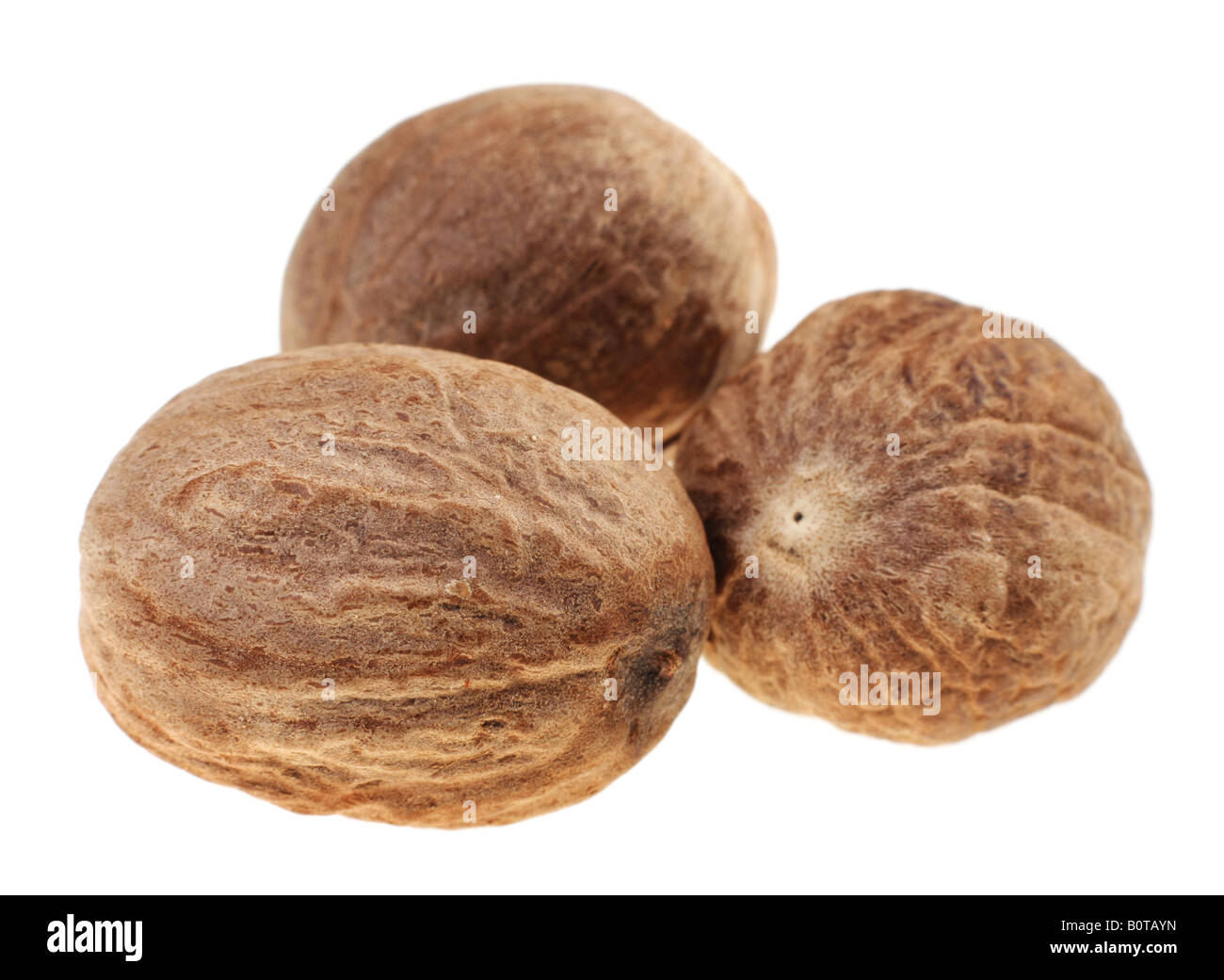 Brown nutmeg spice isolated on white background Stock Photo - Alamy