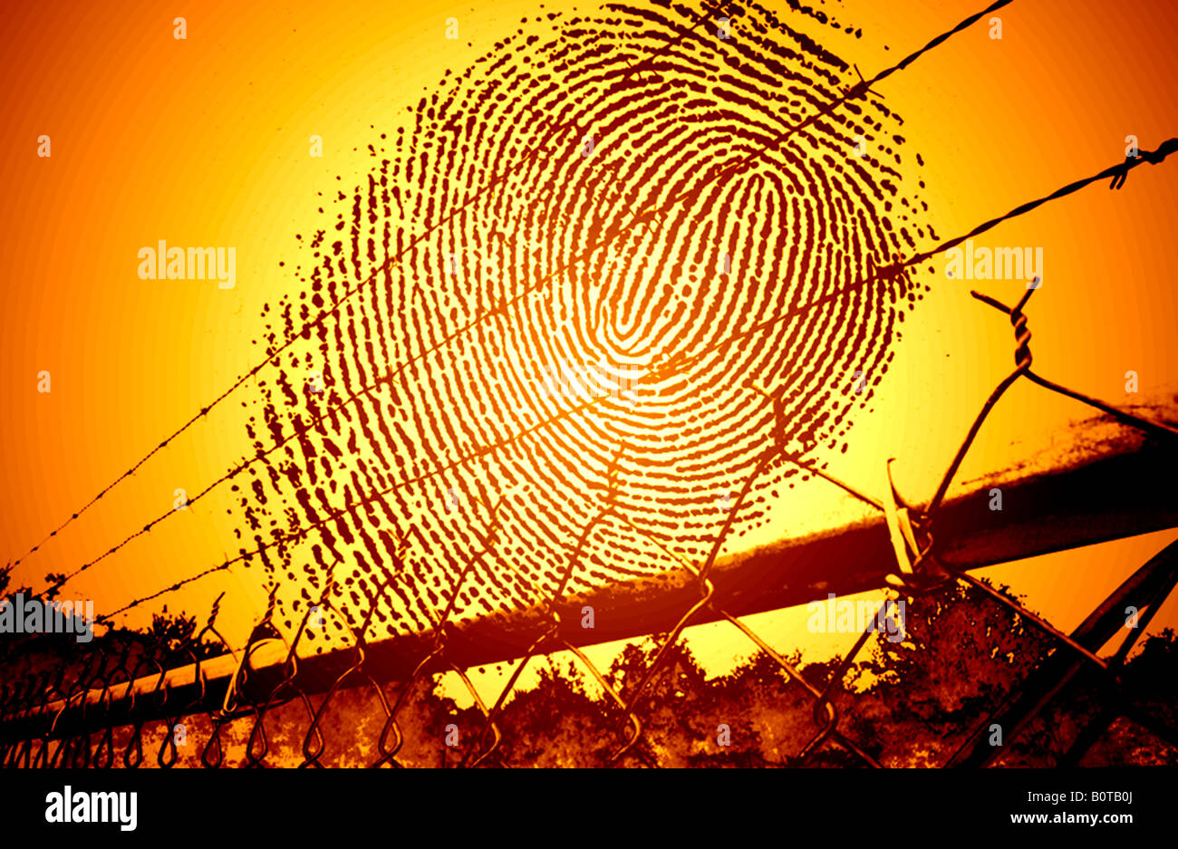 fingerprint composited on barbed wire chain link fence at sunset Stock ...