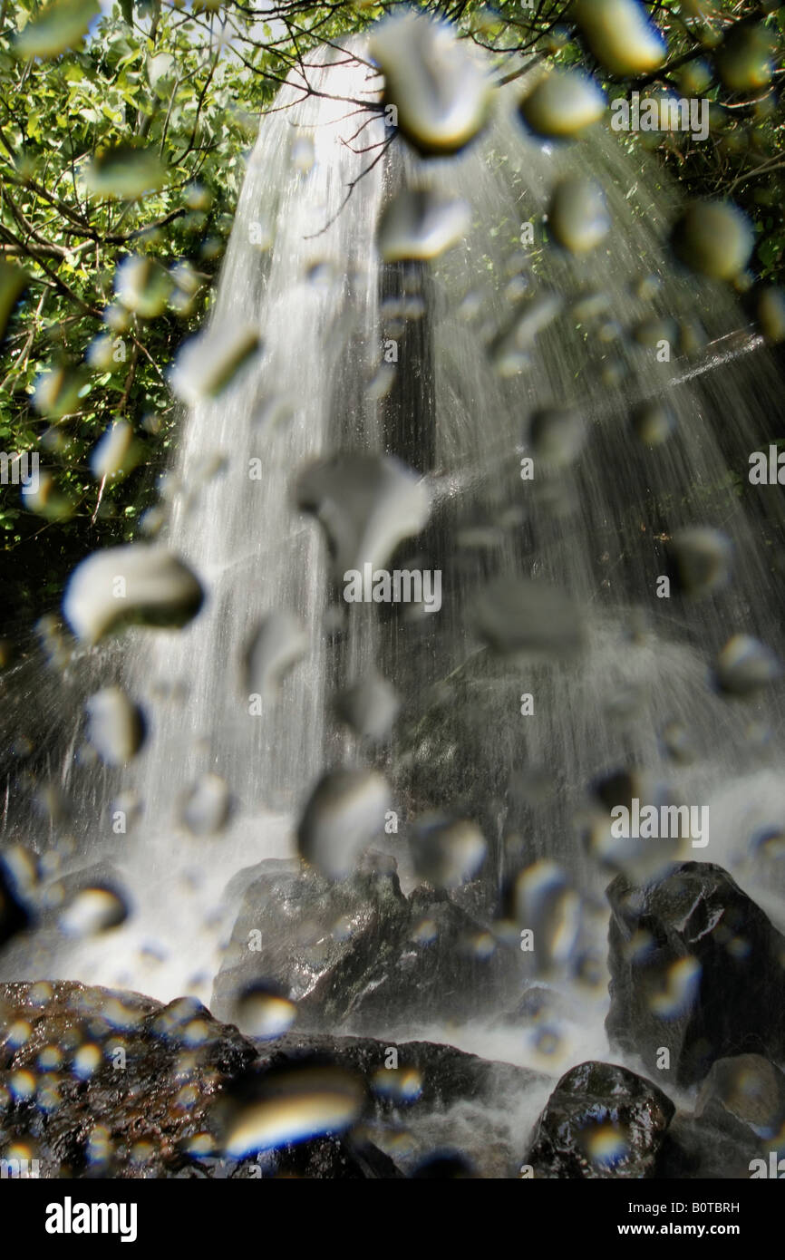 Israel a waterfall ein tinah fig spring hi-res stock photography and ...