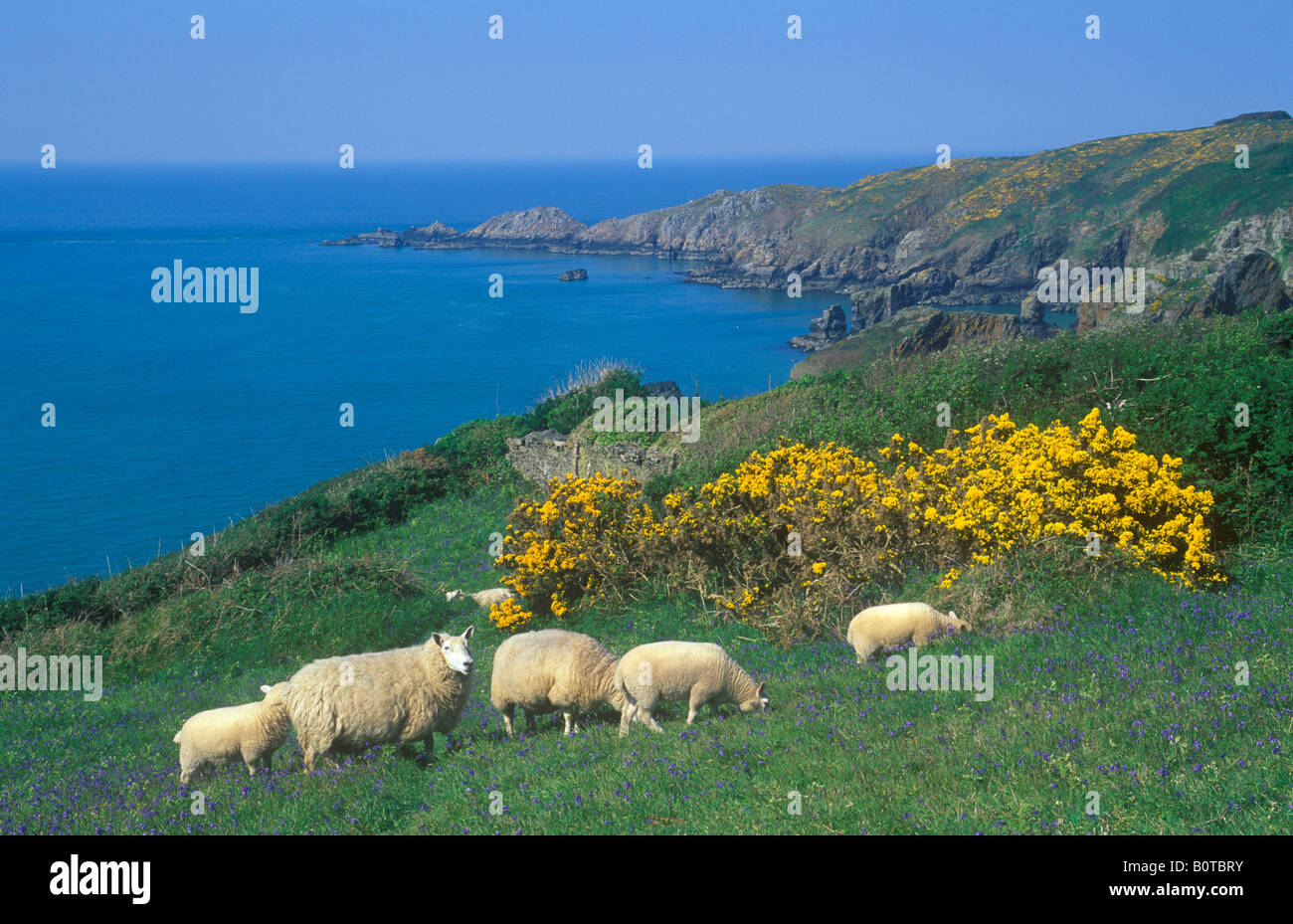 Sark island hi-res stock photography and images - Alamy