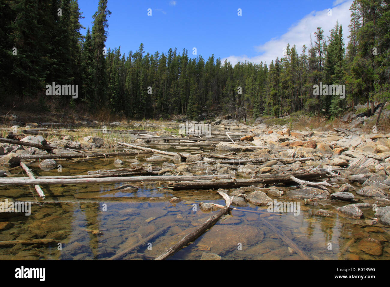 Shallow lake in Jasper National Park, Alberta Stock Photo - Alamy