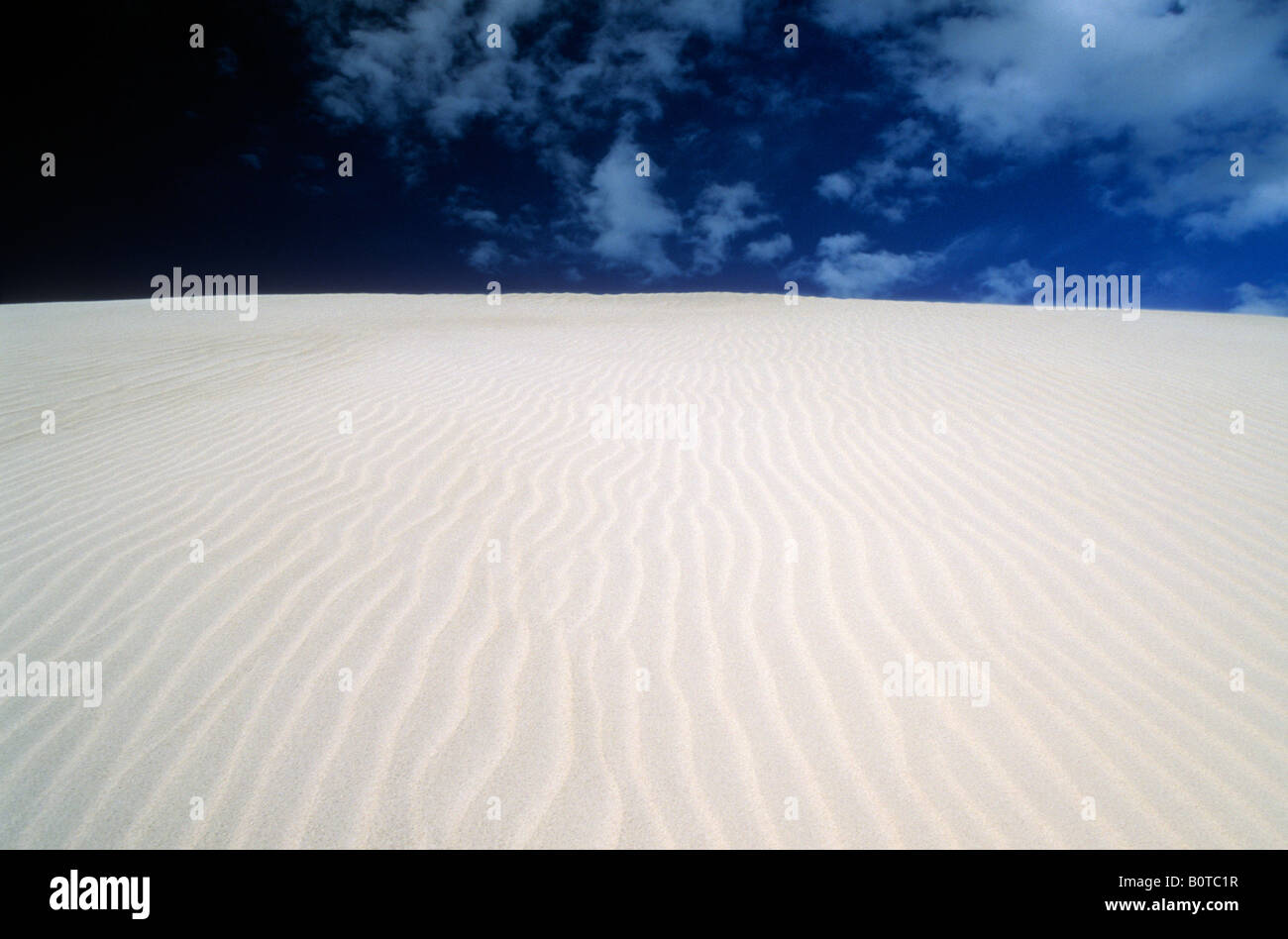 Sand dunes near Cervantes, Western Australia Stock Photo - Alamy
