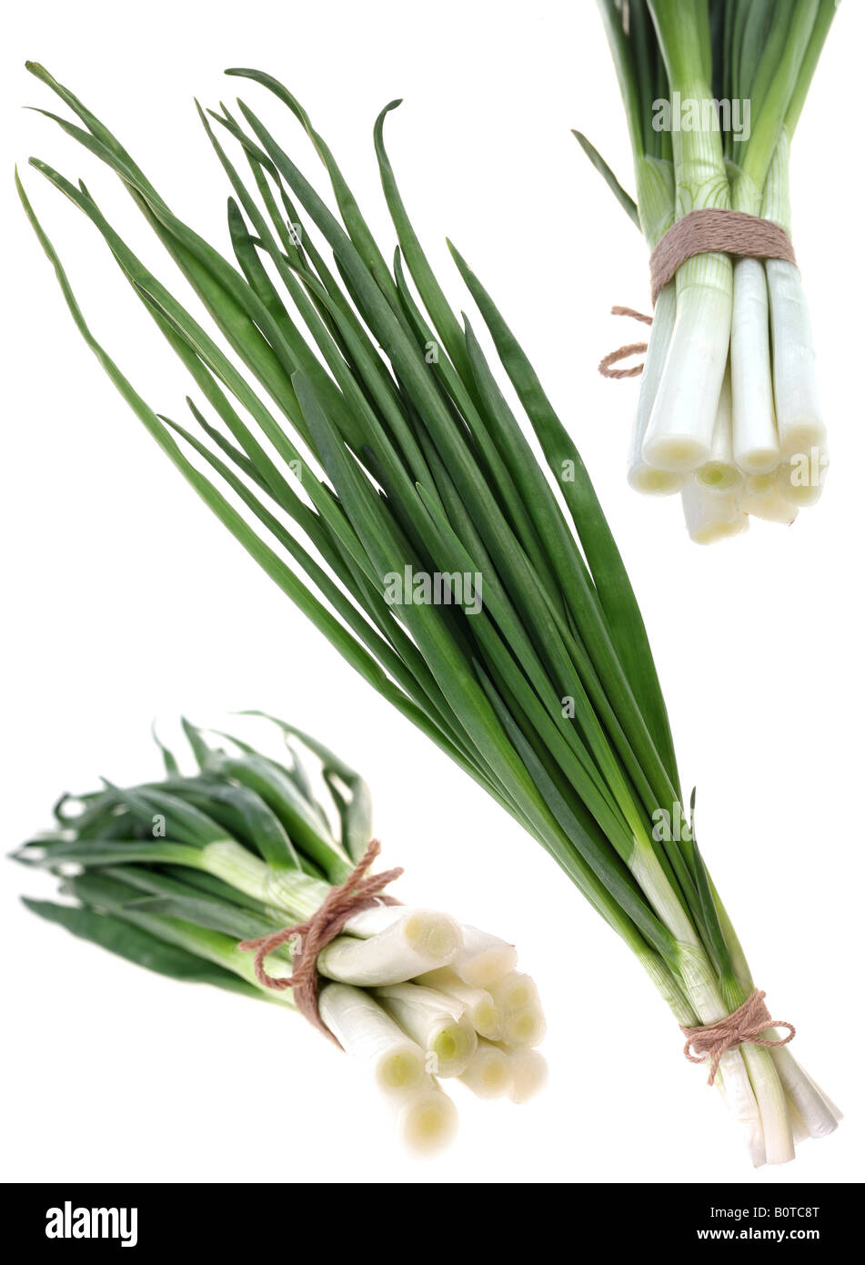 Fresh green onion isolated on white background Stock Photo - Alamy