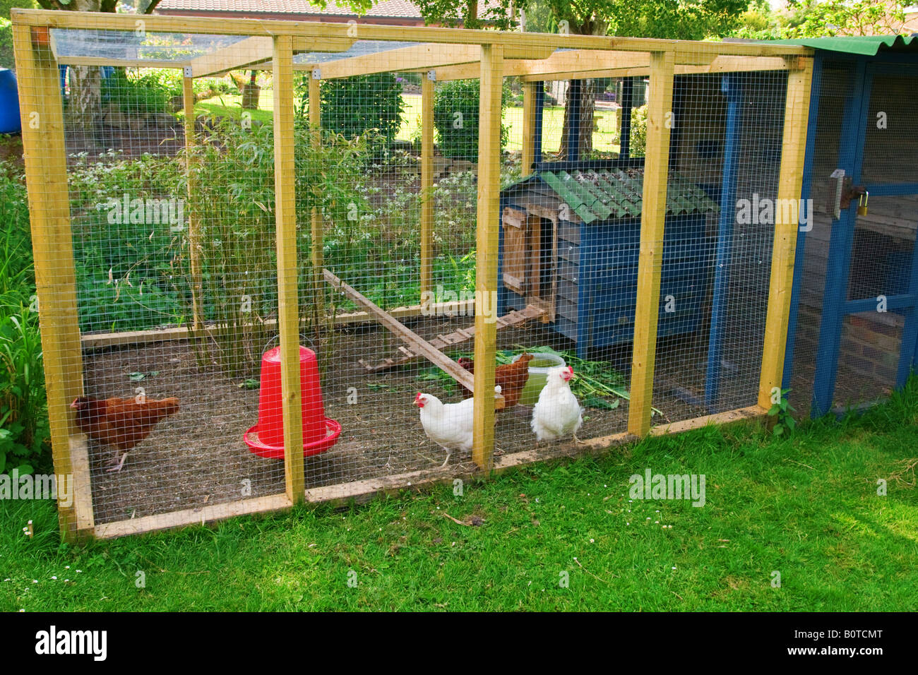 Free range chickens and coup Stock Photo - Alamy
