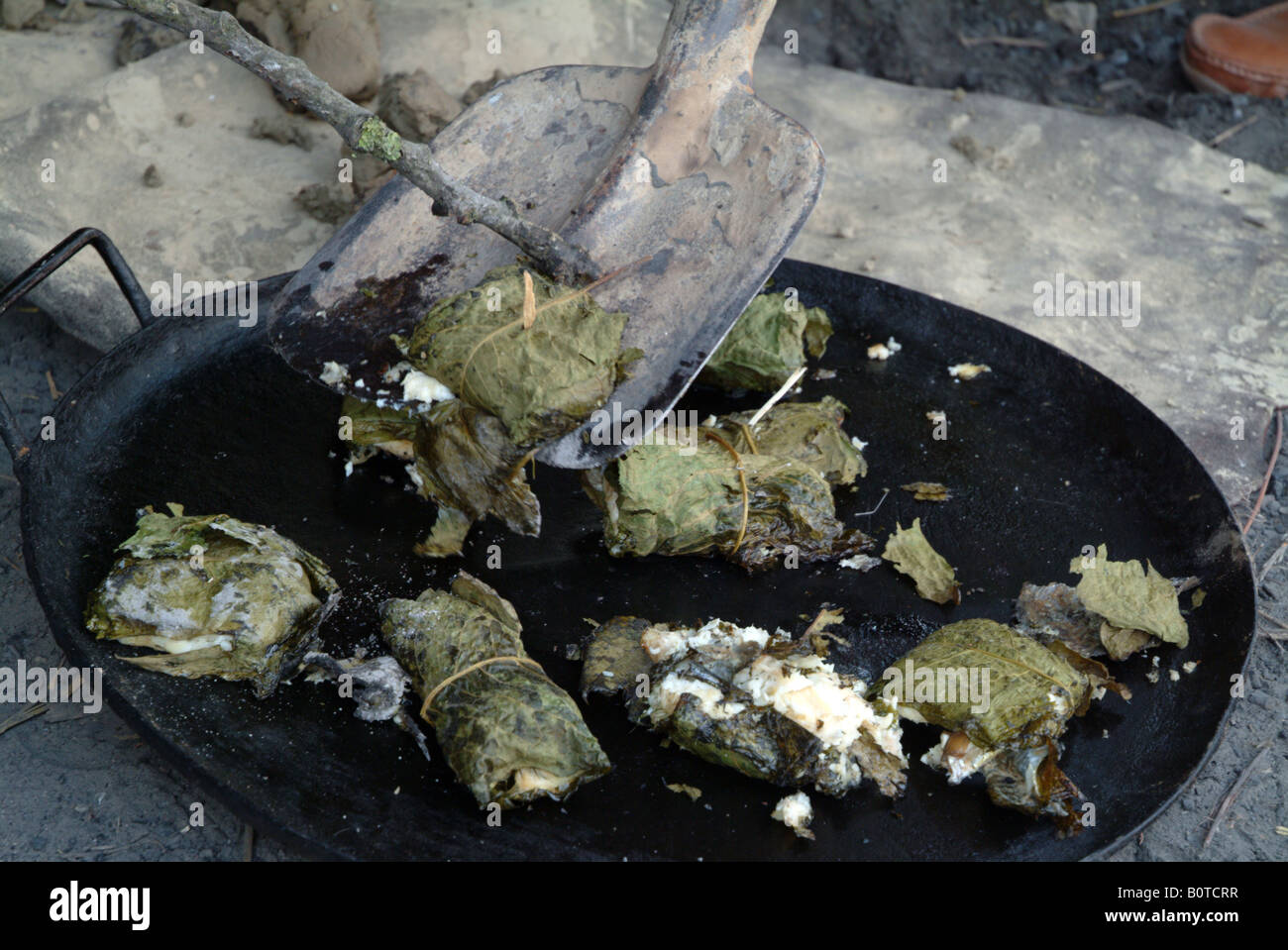 Skillet baked fish wrapped in leaves Stock Photo - Alamy