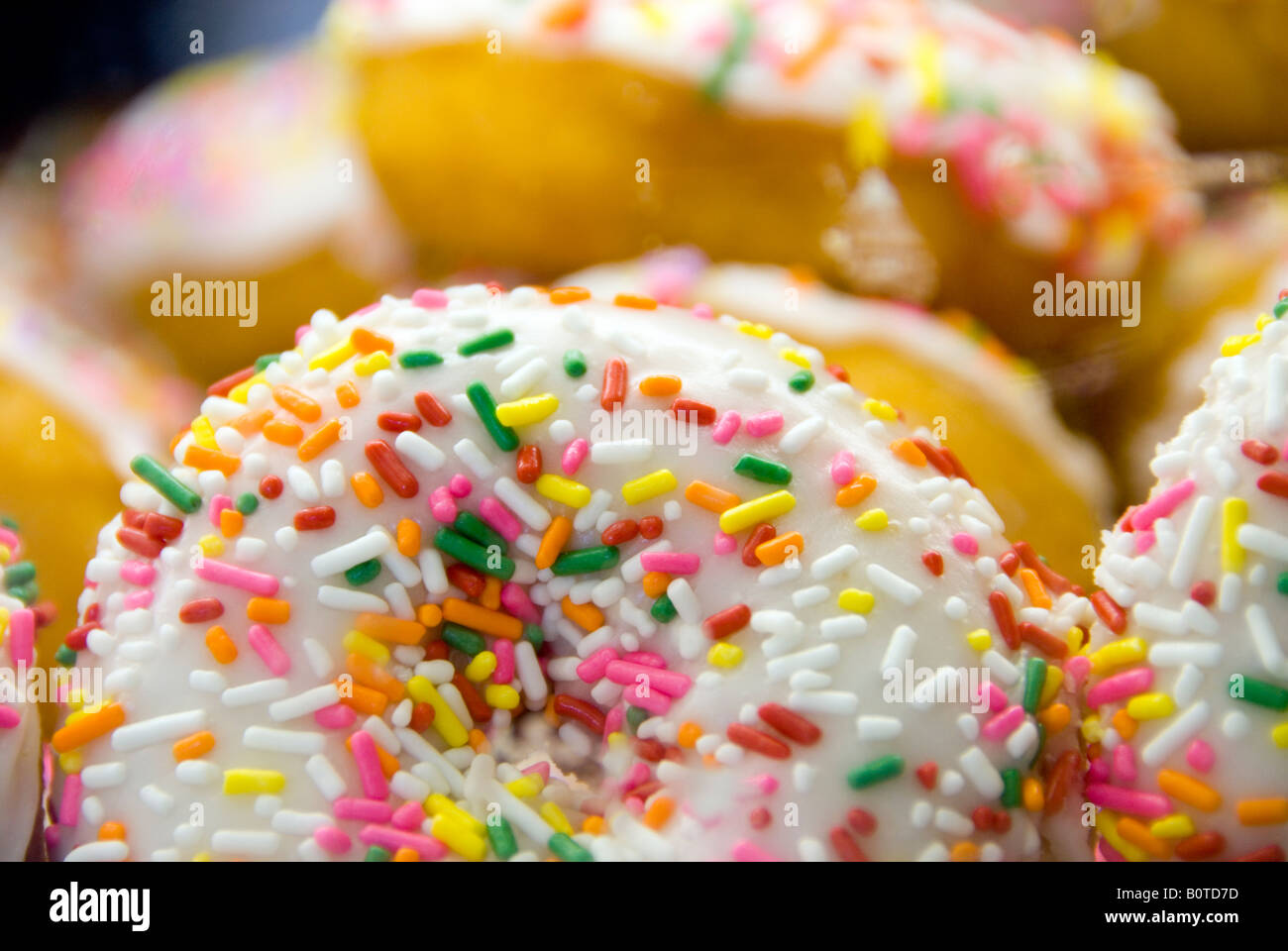 Vanilla Sprinkle Donut