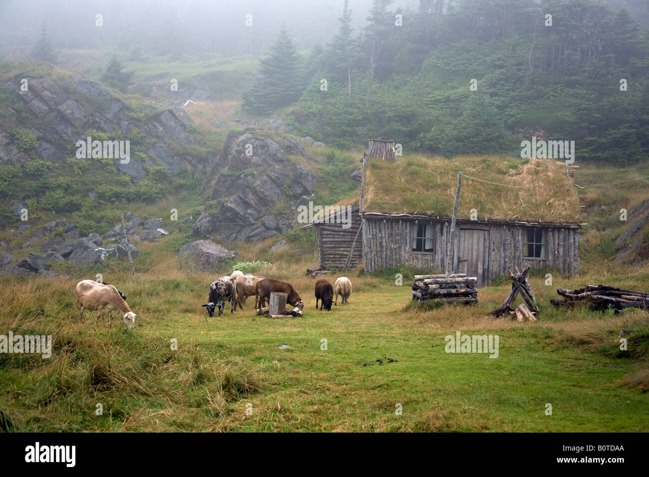Random passage film-set in Newfoundland Stock Photo - Alamy