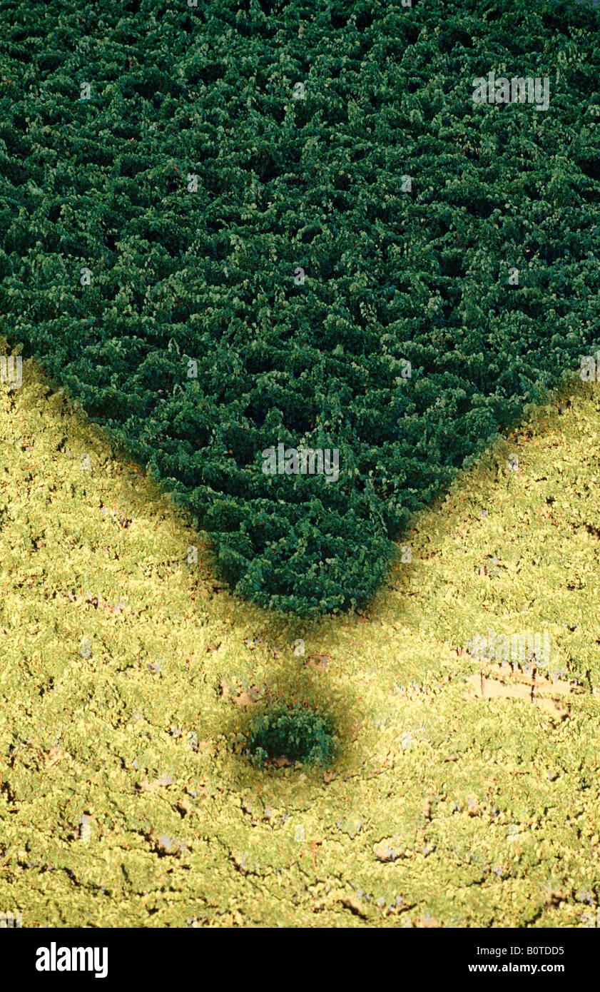 Shadow valley hi-res stock photography and images - Alamy