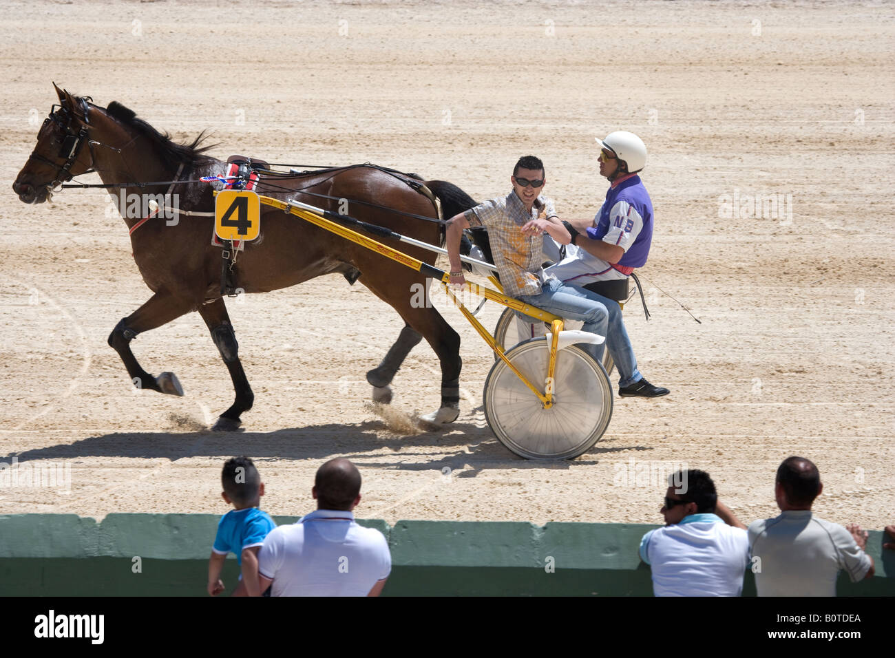 Winning Horse Horse Racing Track Marsa Valletta Malta Stock Photo - Alamy
