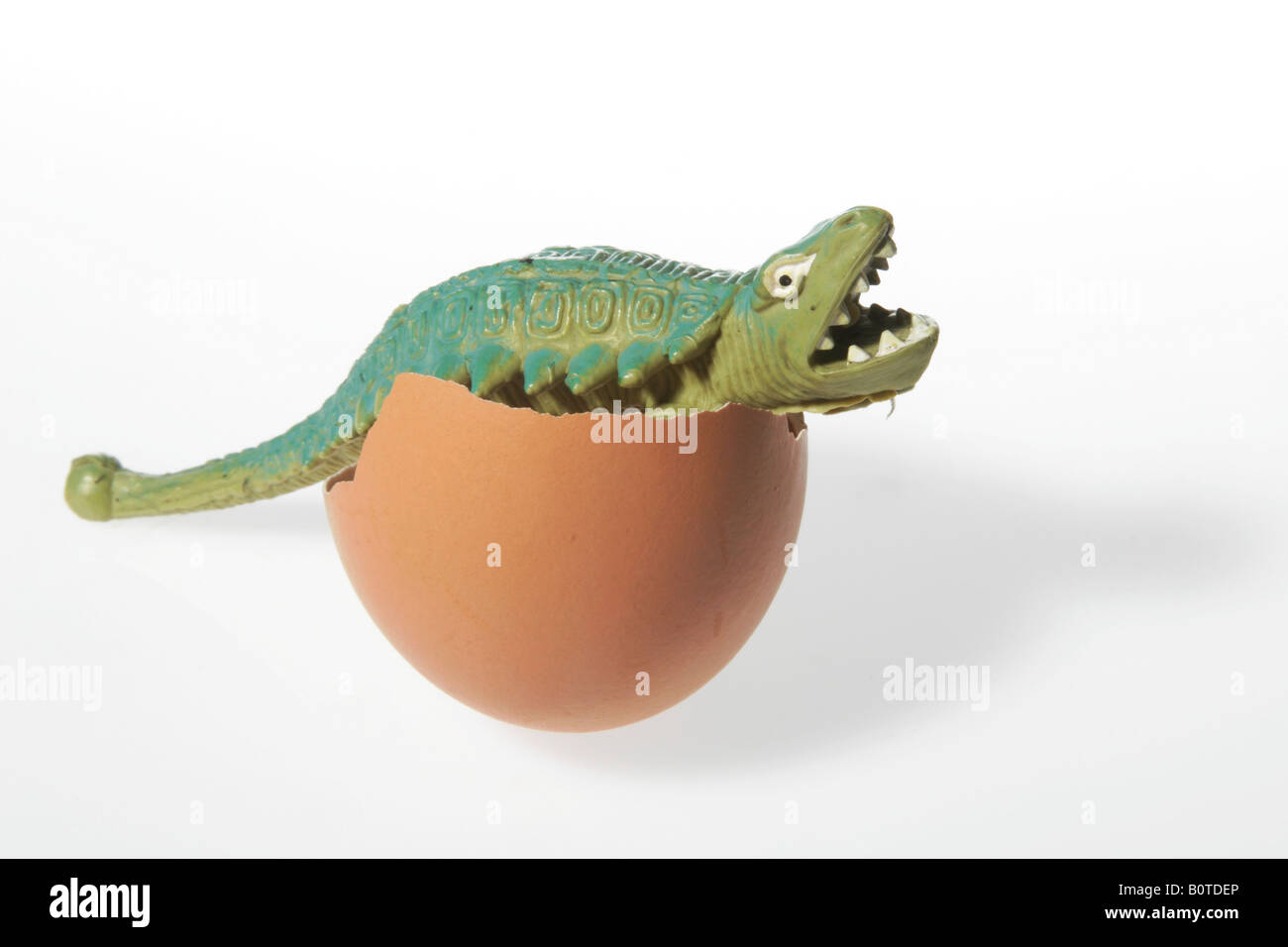 Dinosaur egg hatching hi-res stock photography and images - Alamy