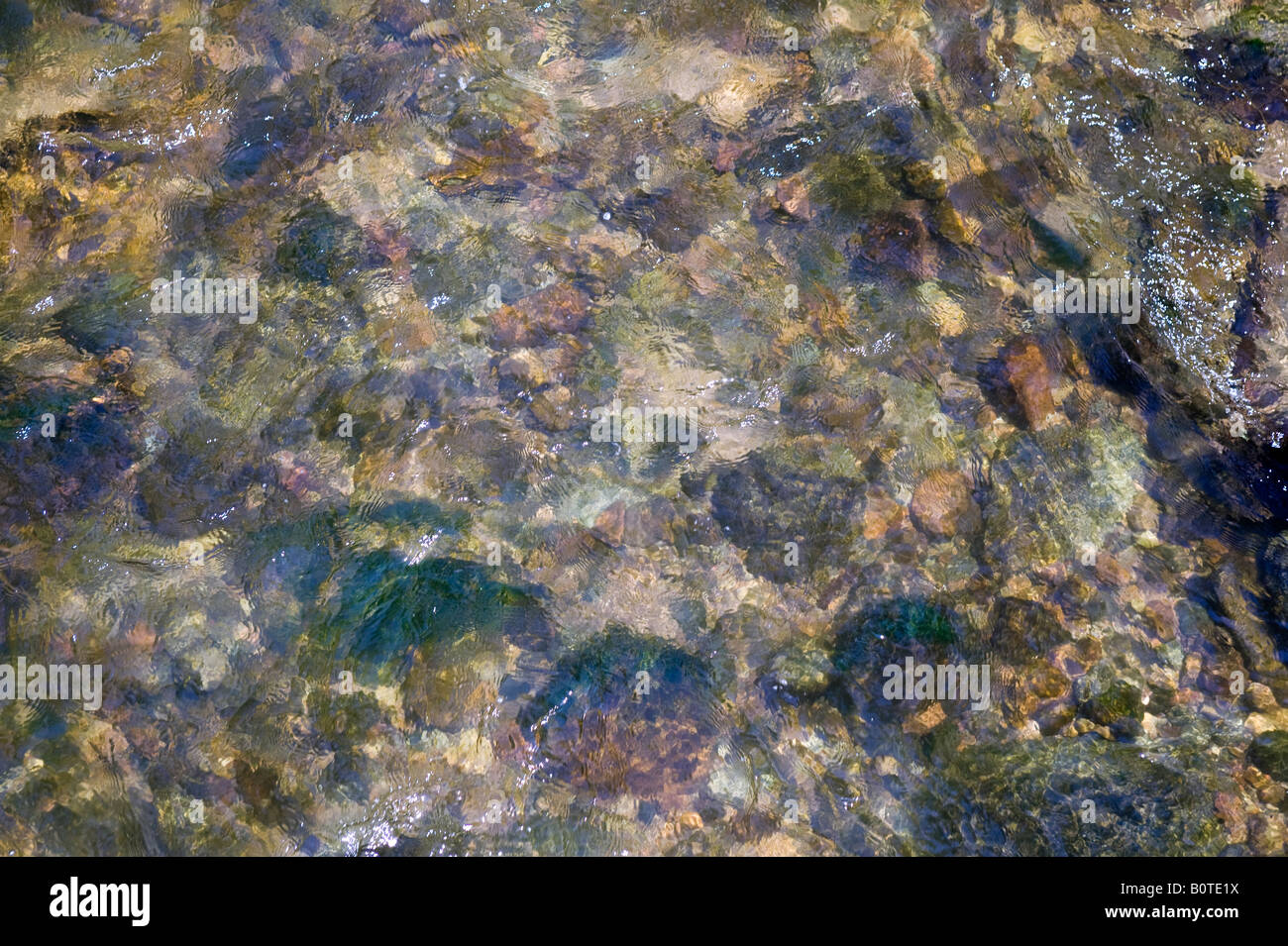 A clear stream with rocks at the bottom in Boulder Colorado Stock Photo ...