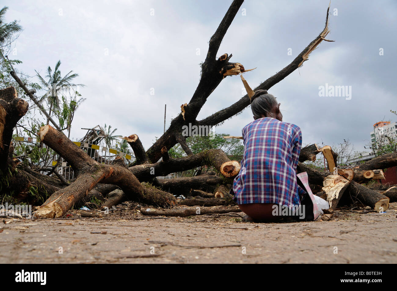 A local woman surveys the devastation done by Cyclone Nargis in the ...