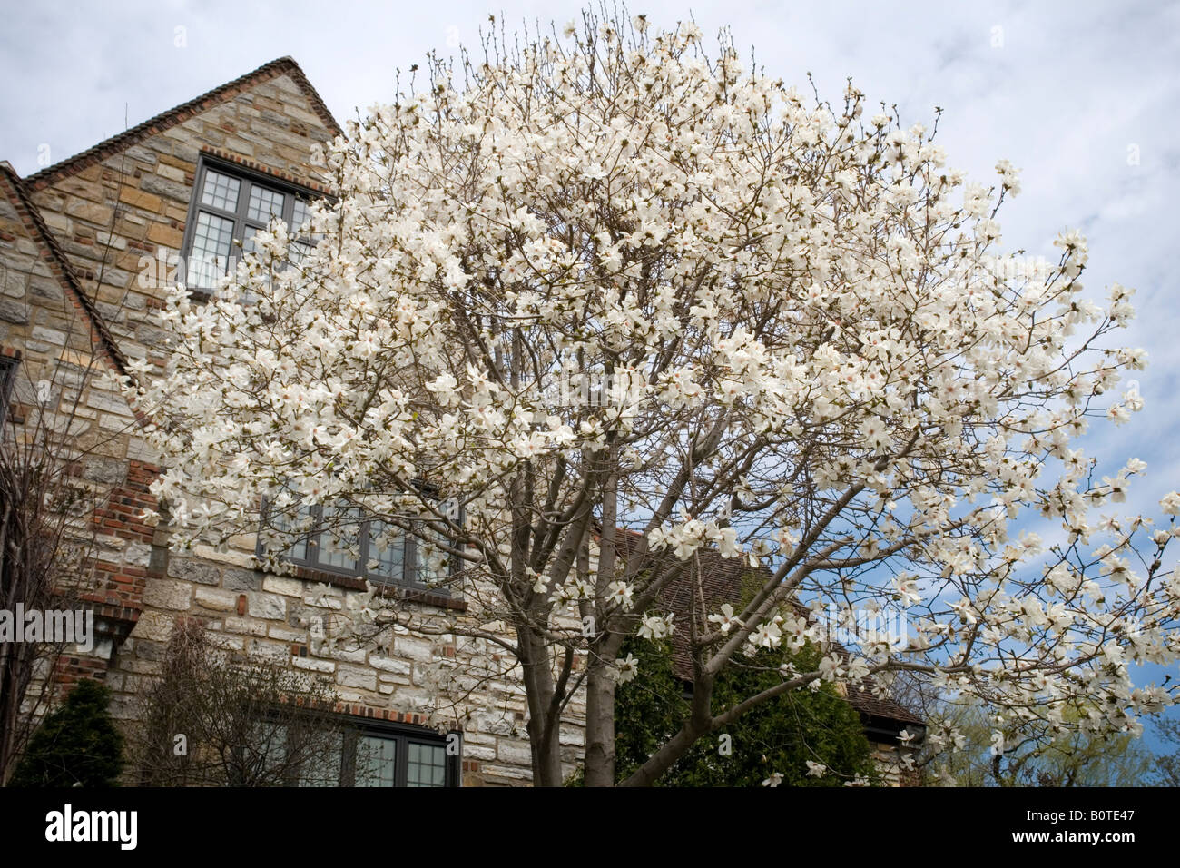 Montreal spring hi-res stock photography and images - Alamy