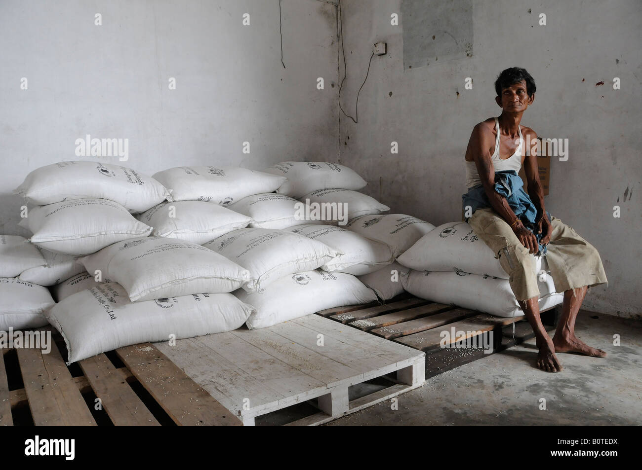 A worker sits over sacks of rice donated by United Nations World Food ...