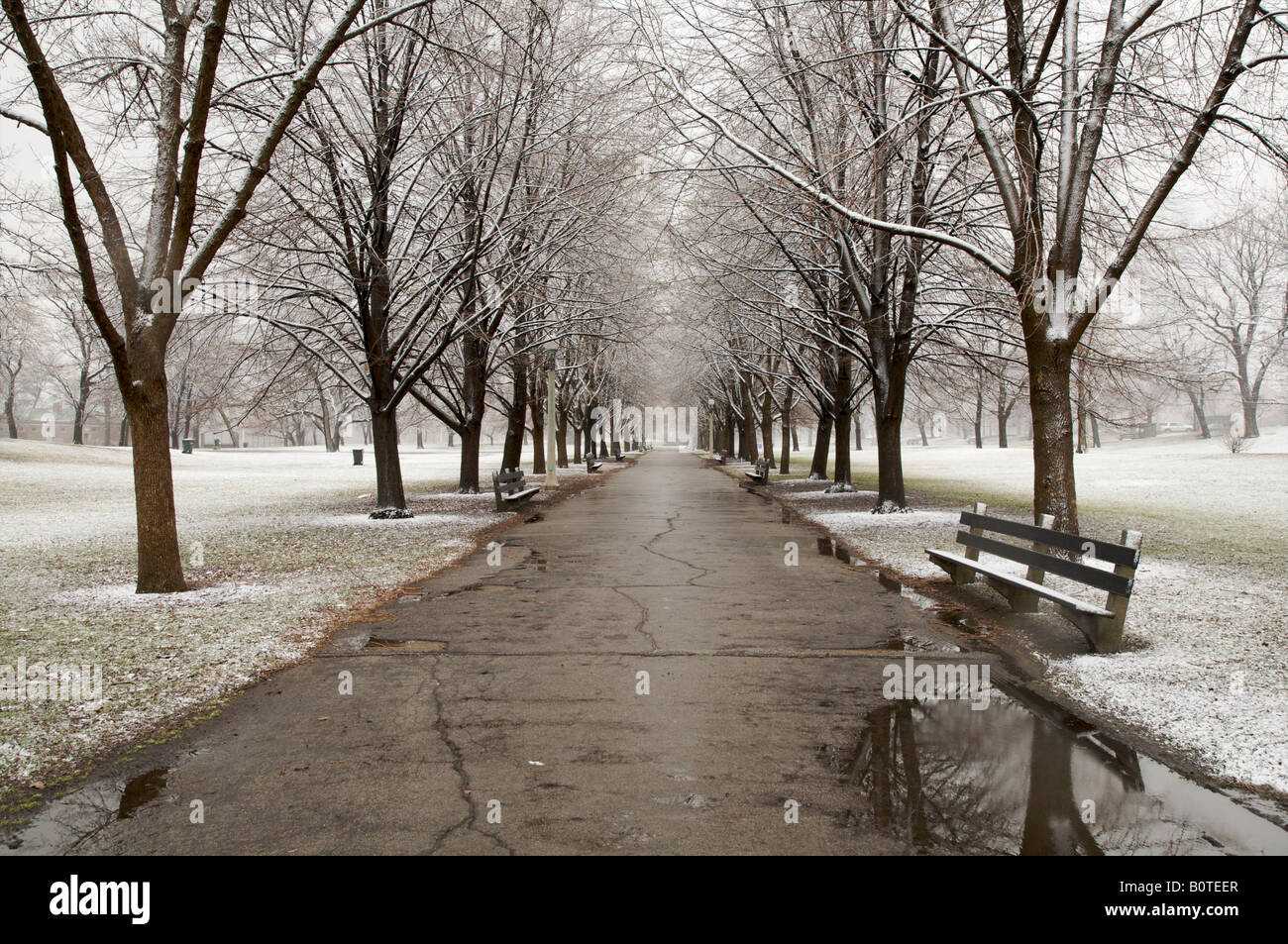 Winter Lincoln Park Chicago 2,558 Lincoln Park Chicago Stock Photos