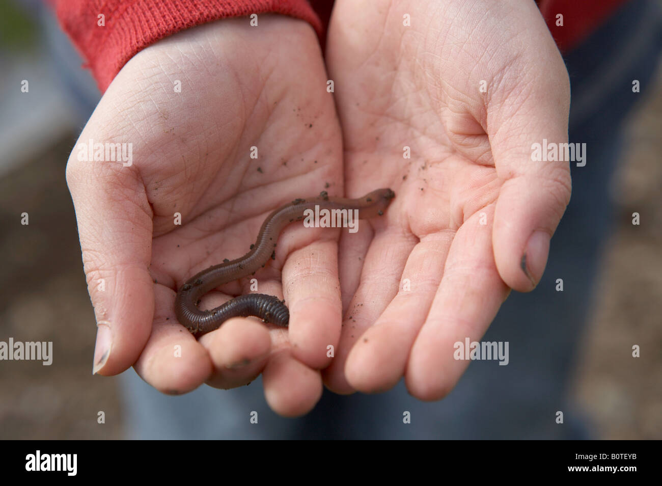 Child, hands, worm hi-res stock photography and images - Alamy