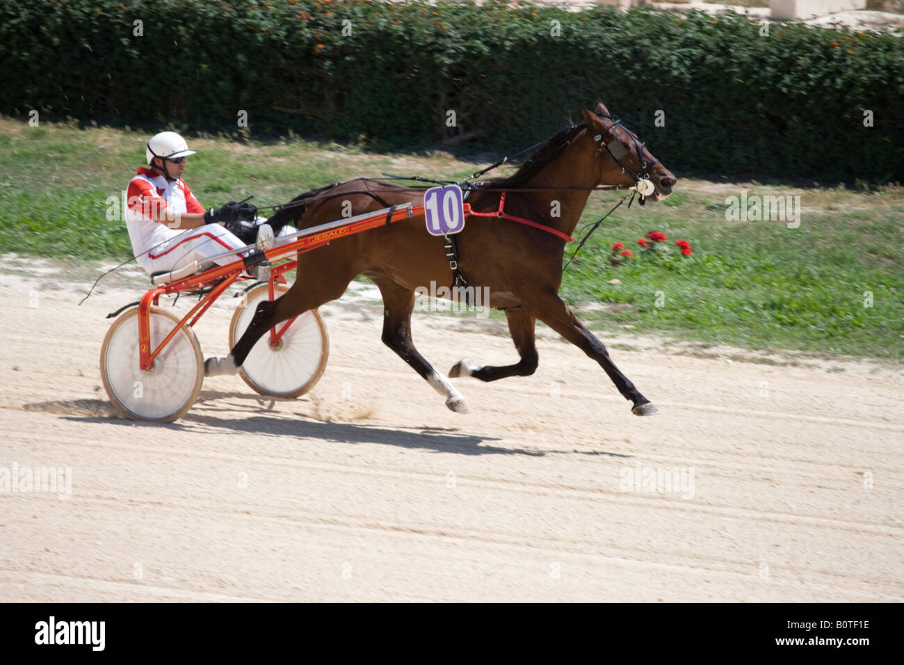 Trotting track hi-res stock photography and images - Alamy