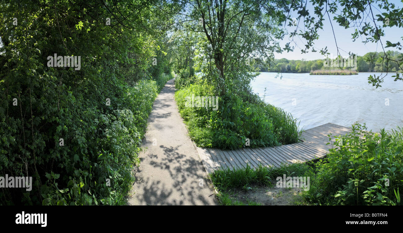 A footpath through woods alongside a lake or river Stock Photo - Alamy