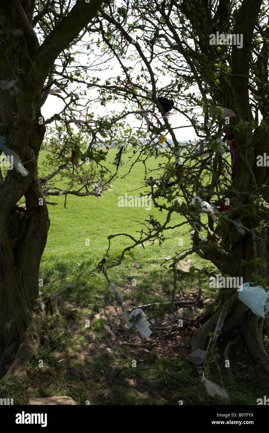 Clootie Tree High Resolution Stock Photography and Images - Alamy